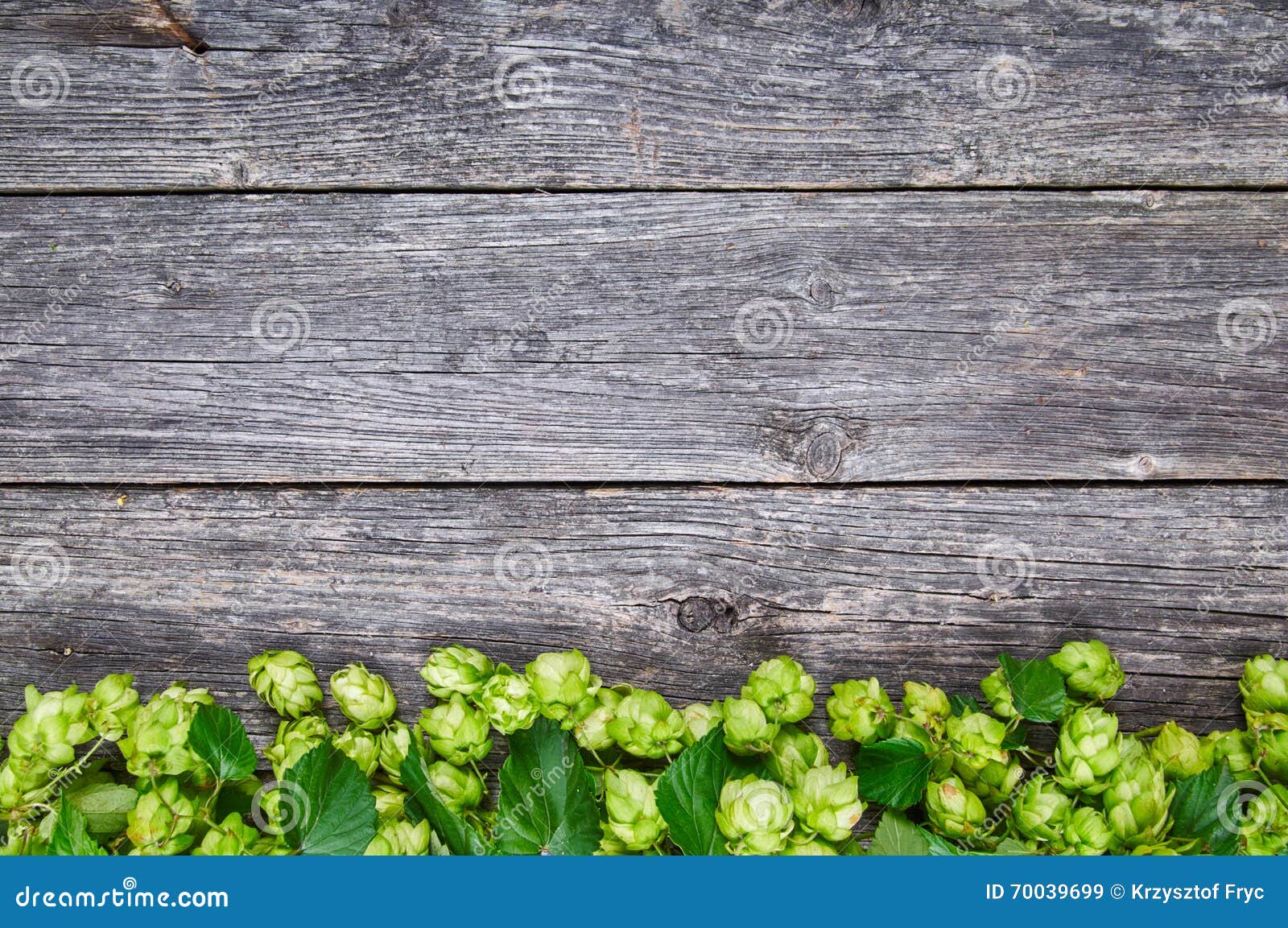 Wooden Background with Hop Frame Stock Image - Image of board, frame ...