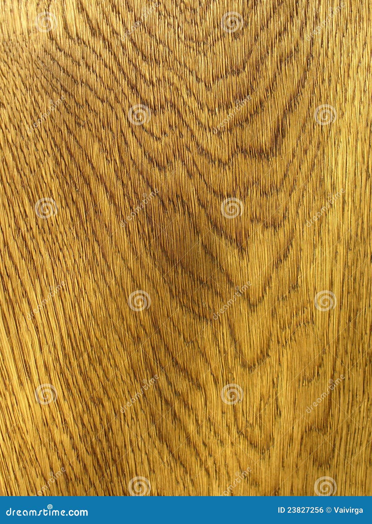 Wooden background of oak stock photo. Image of stained - 23827256