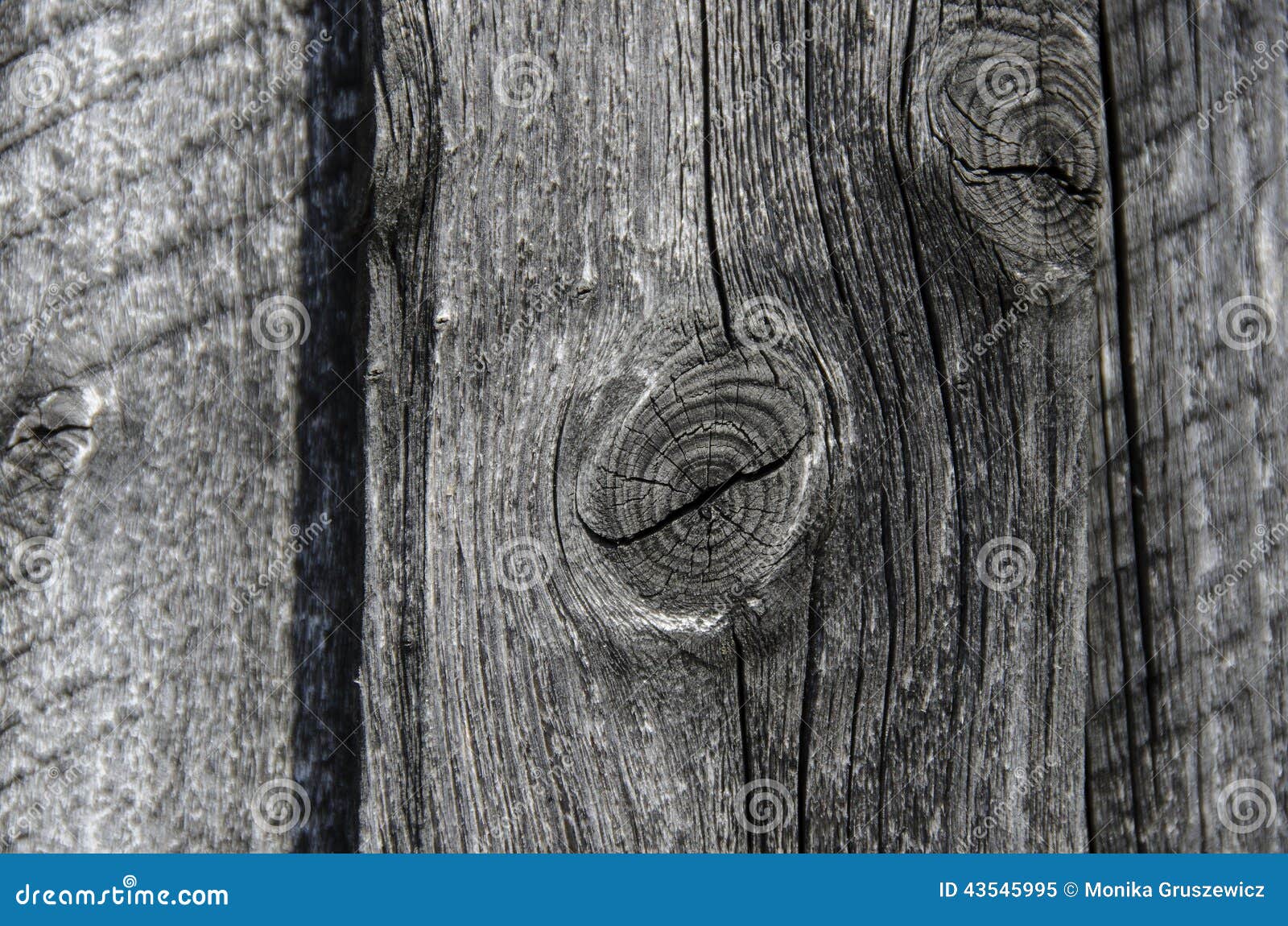Wooden background. stock image. Image of background, knur - 43545995