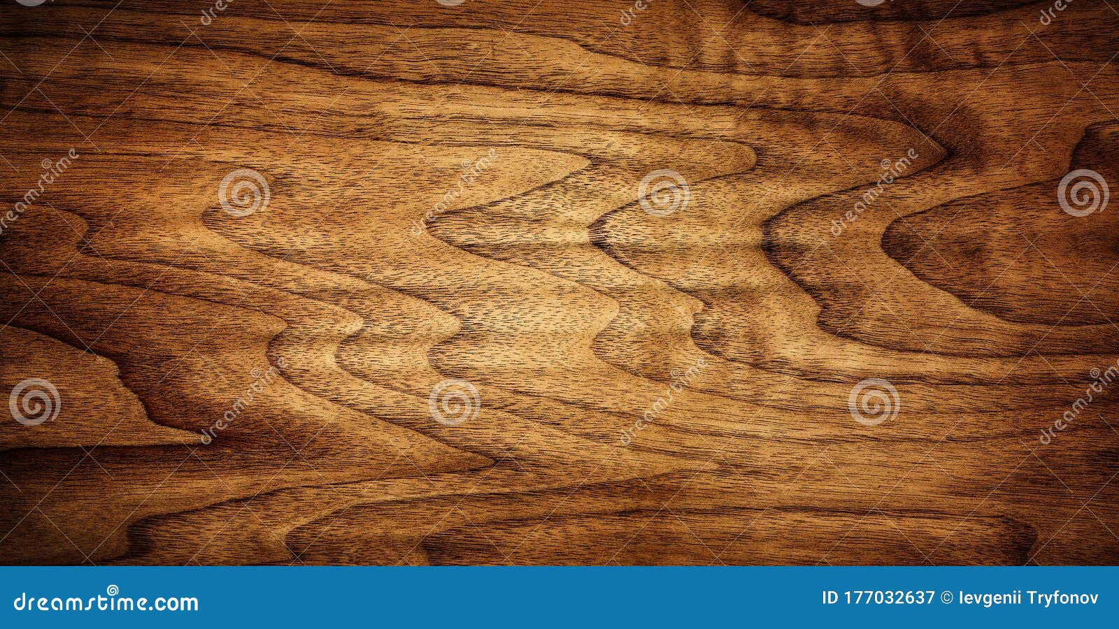 Wooden Background, Texture of an Old Walnut Tree Stock Image - Image of ...