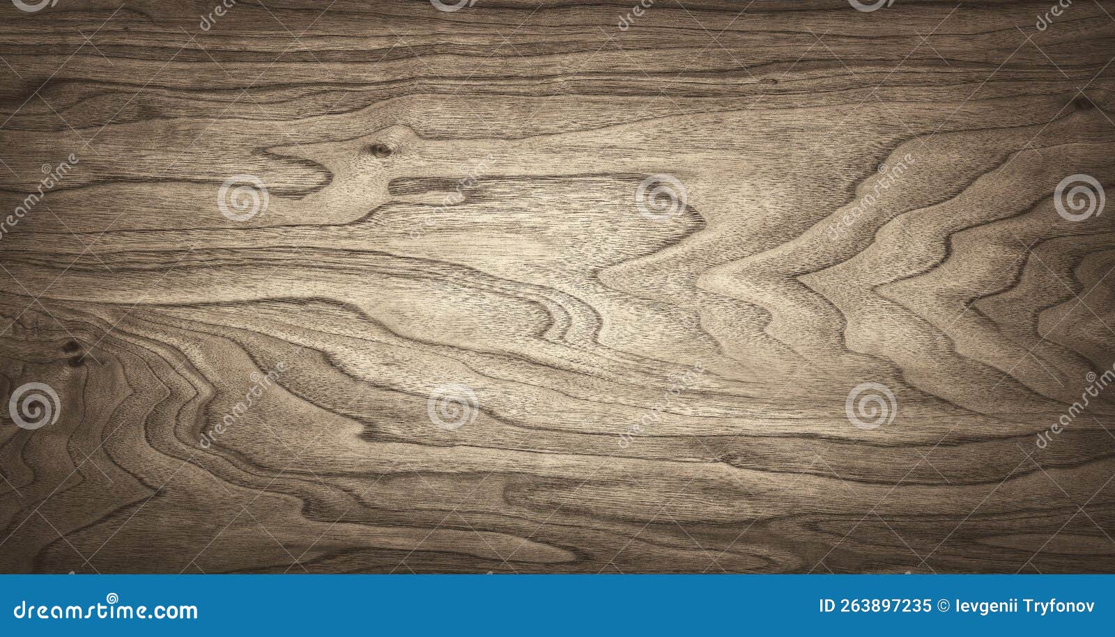Wooden Background, Texture of an Old Walnut Tree Stock Image - Image of ...