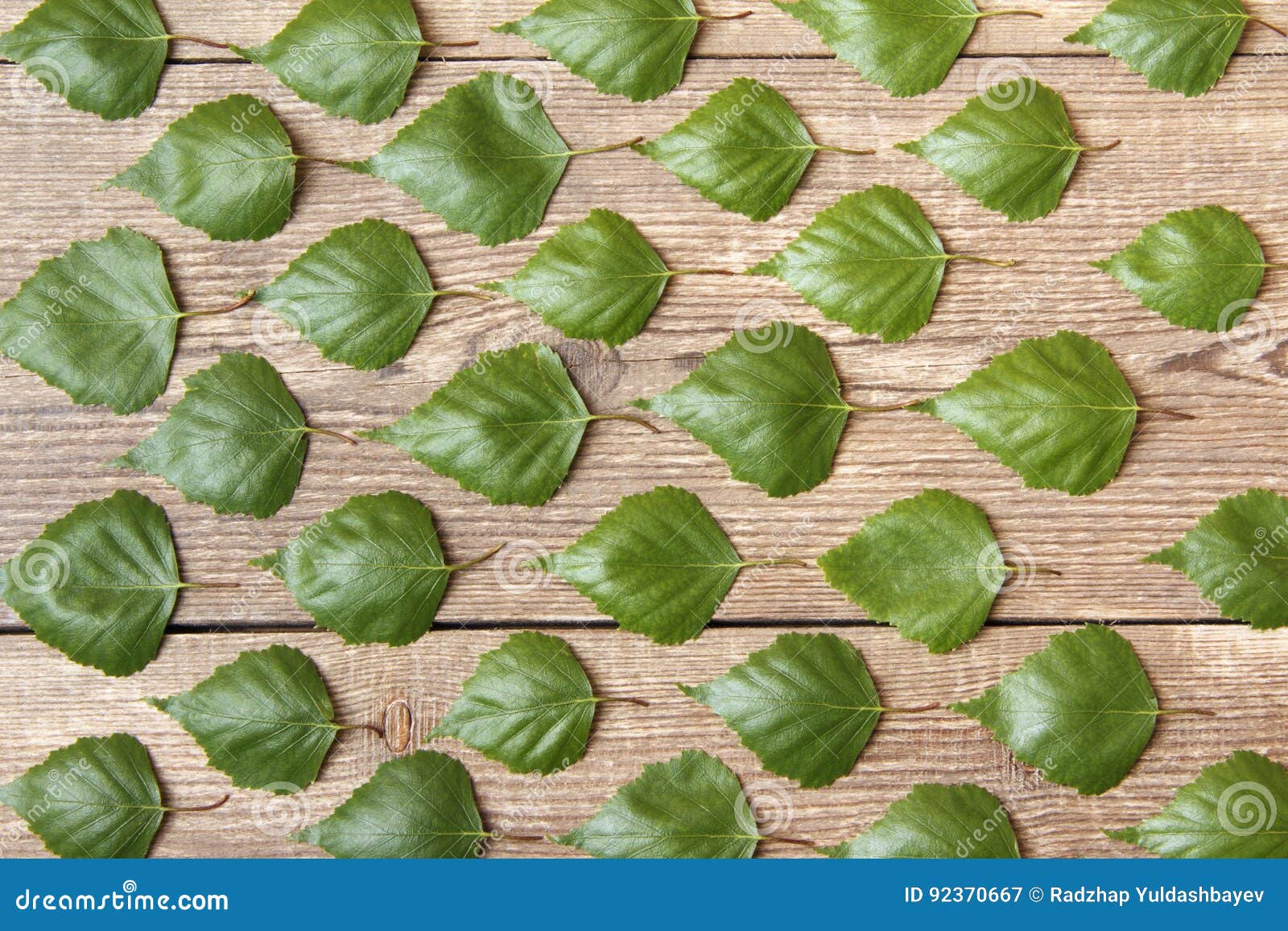 Wooden Background, Top View, Framed with Leaves of a Tree Stock Image ...
