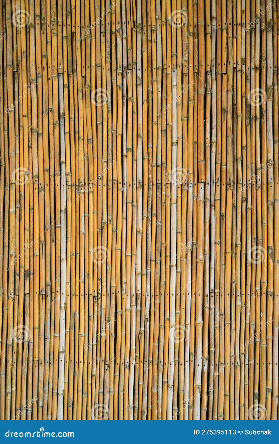 Close Up Wooden Bamboo Wall Background for Interior Design Stock Image ...