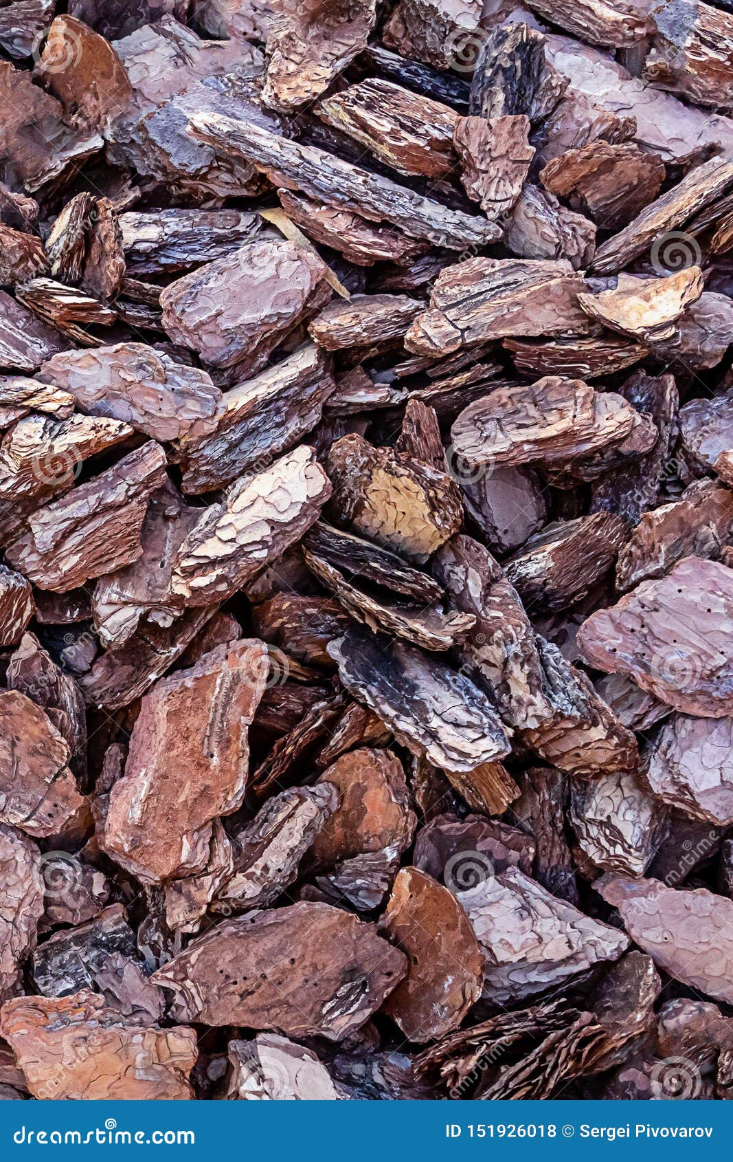 Wooden Bark Pieces Vertical Pattern Dark Brown Background Basic Rustic ...