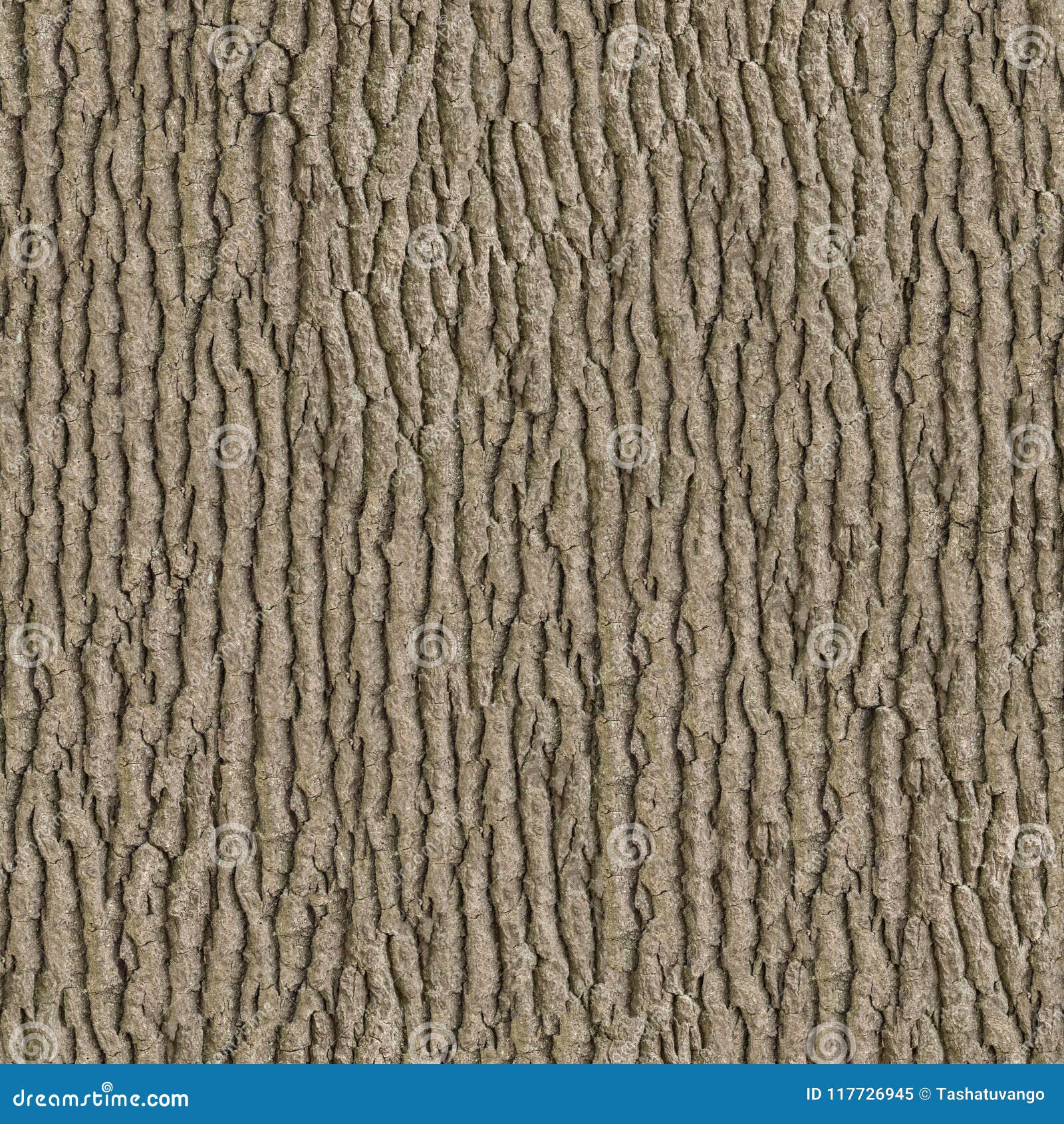 Wooden Bark. Seamless Tileable Texture. Stock Image - Image of wooden ...