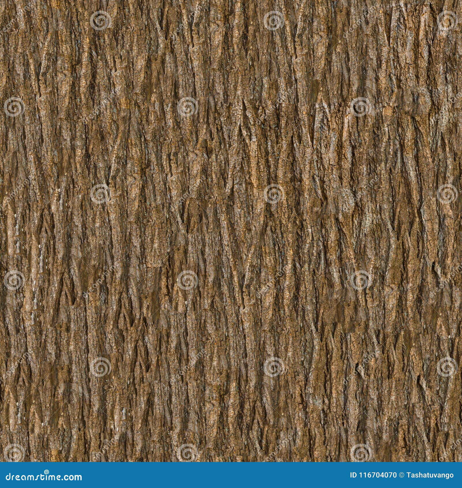 Wooden Bark. Seamless Tileable Texture. Stock Photo - Image of wood ...
