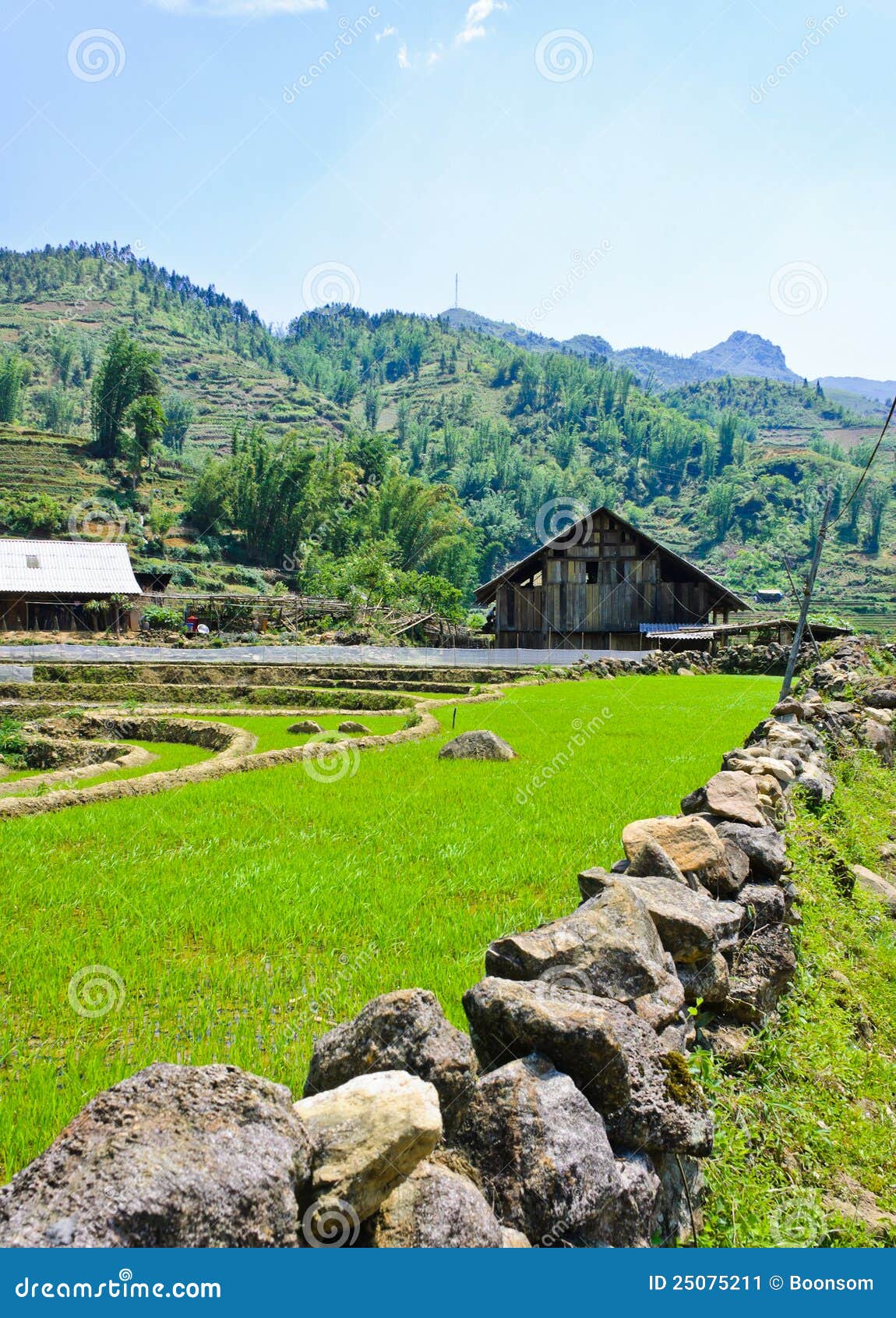 Wooden Barn in Rice Terraced Field Stock Image - Image of rice, pattern ...