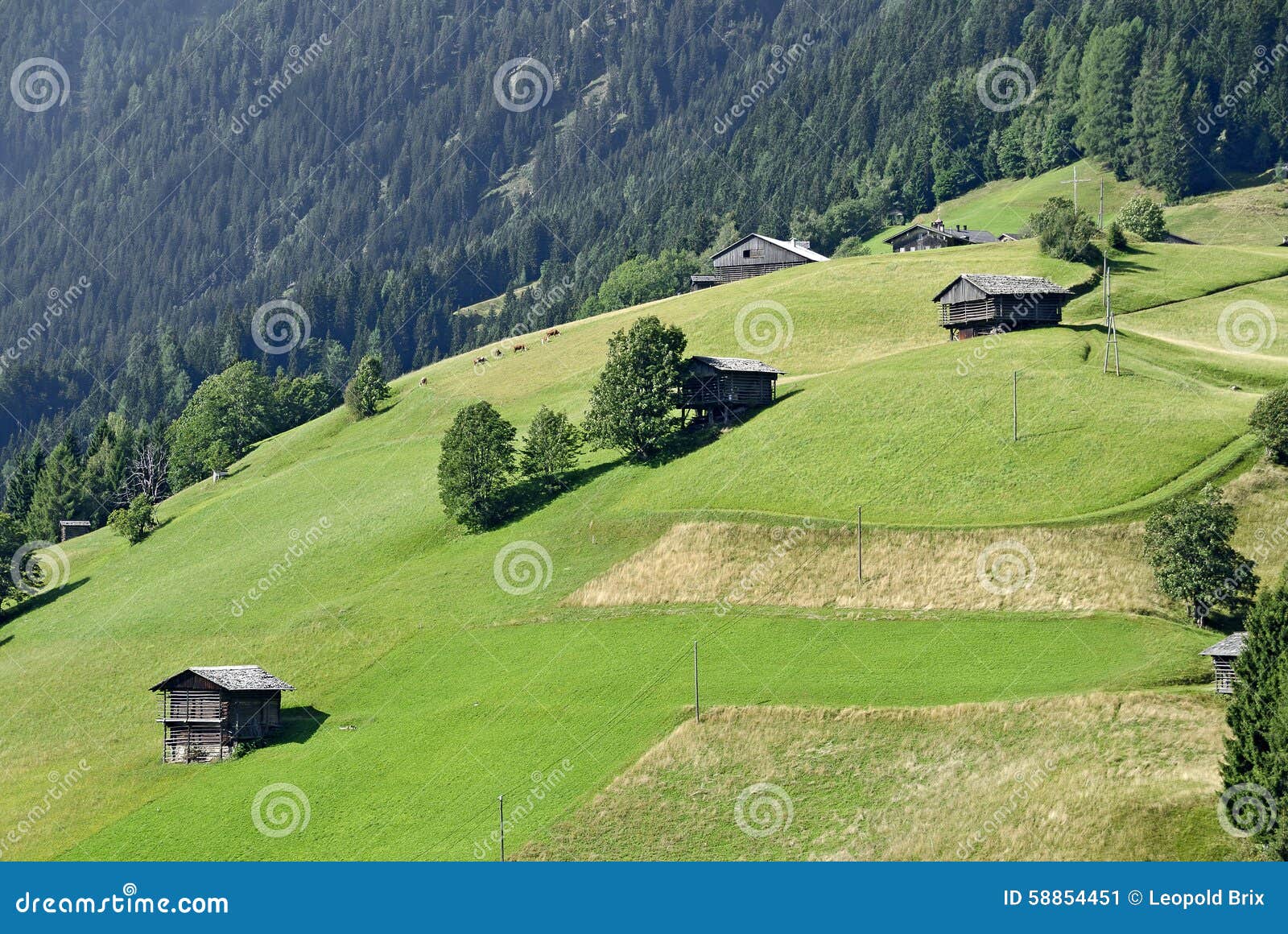 Wooden Barns for Hay at the Slope of a Mountain Stock Image - Image of ...
