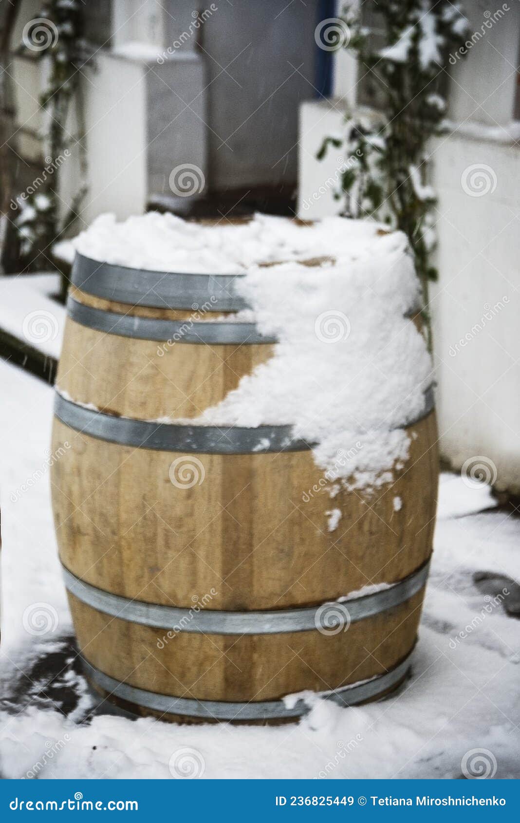 Wooden Barrel in the Snow on a Winter Day Stock Image - Image of pine ...