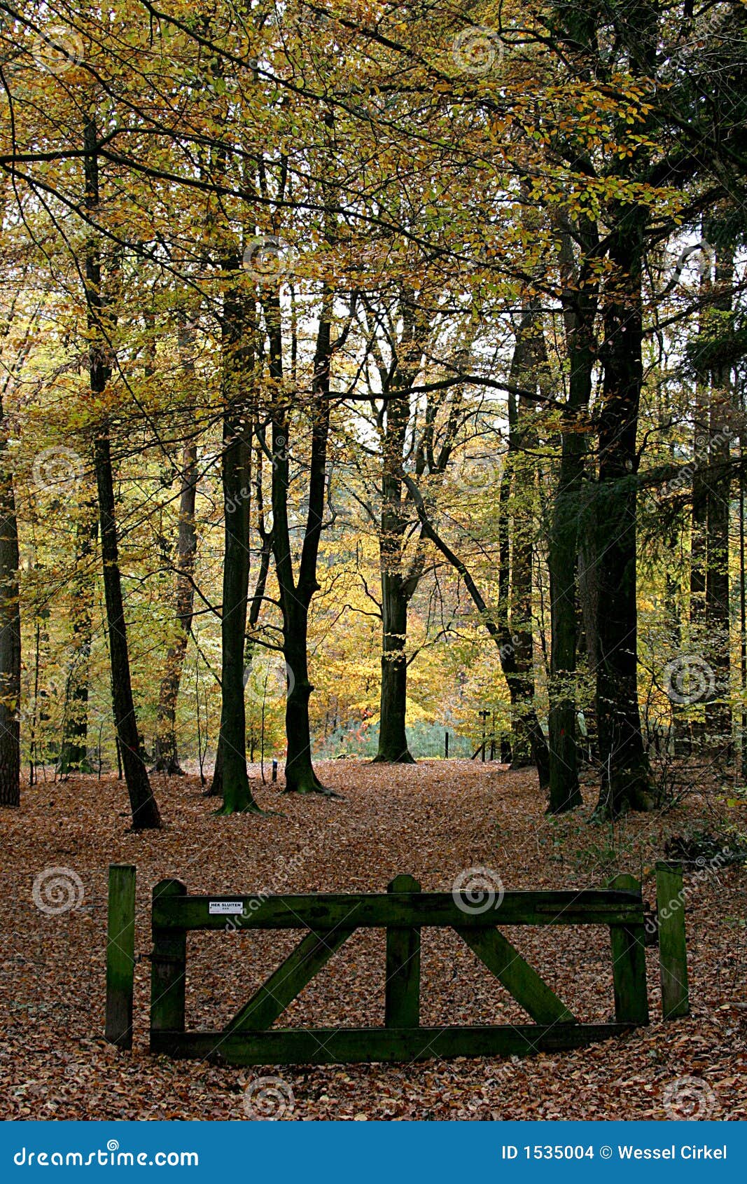 A Wooden Barrier in an Autumn-coloured Forest Stock Photo - Image of ...
