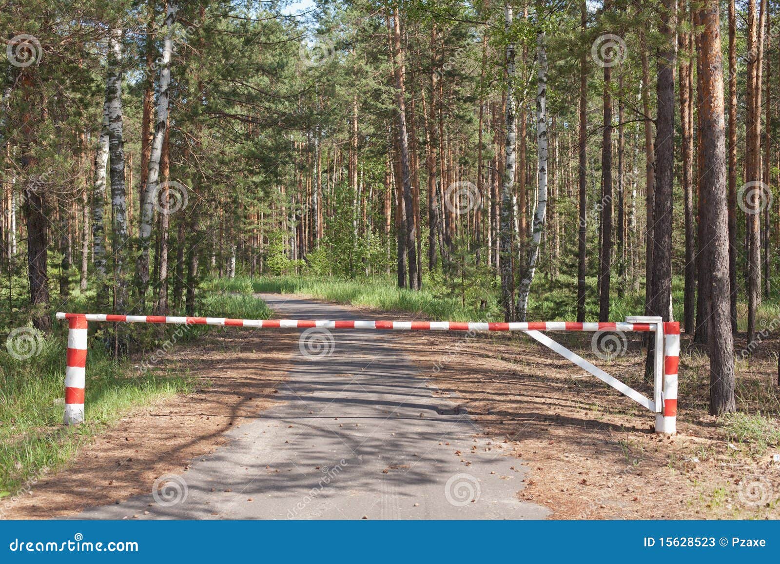 Wooden Barrier Blocking Way To Wood Stock Image - Image of wood, pine ...