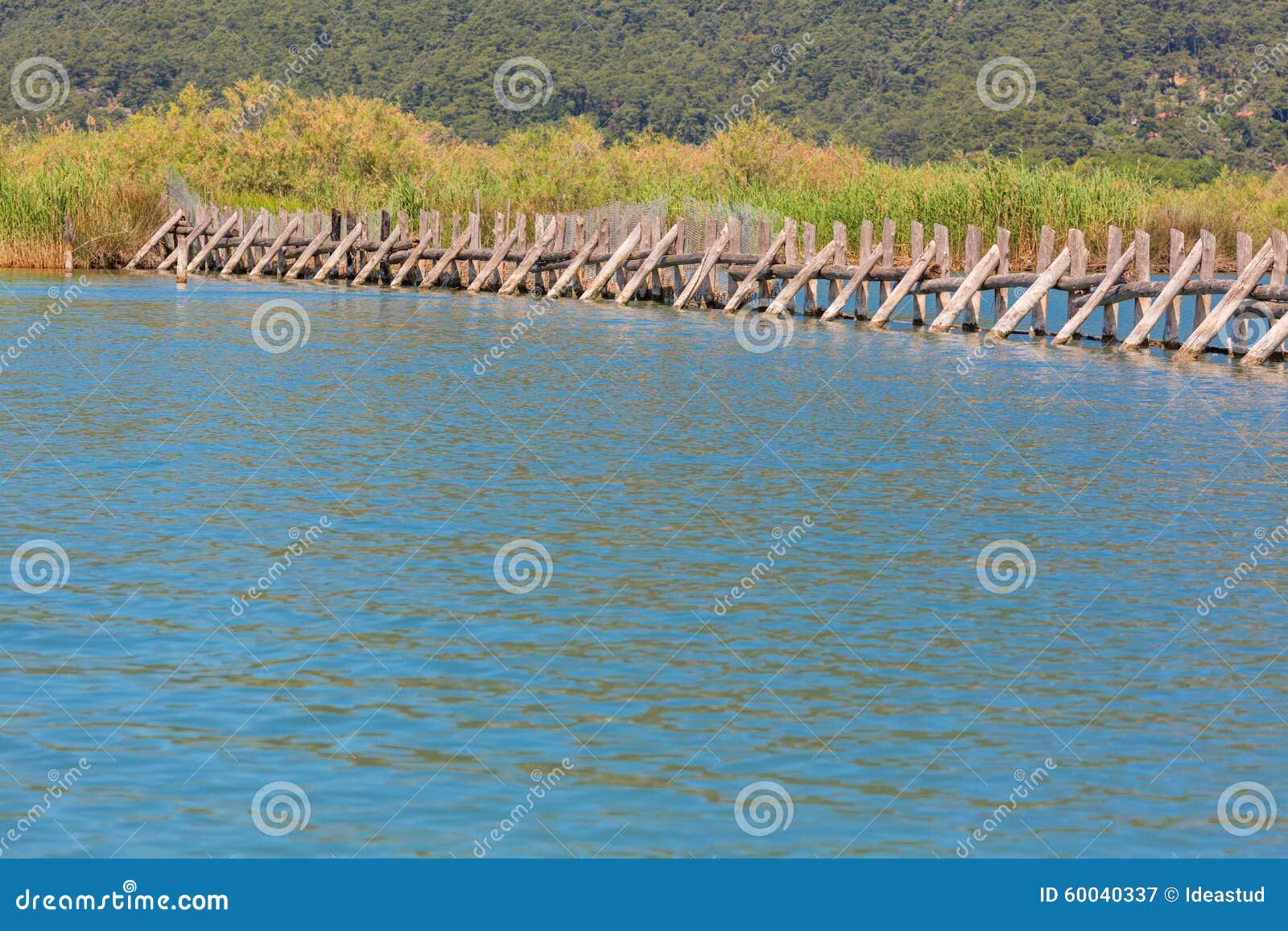 Wooden barrier on the lake stock image. Image of protection - 60040337
