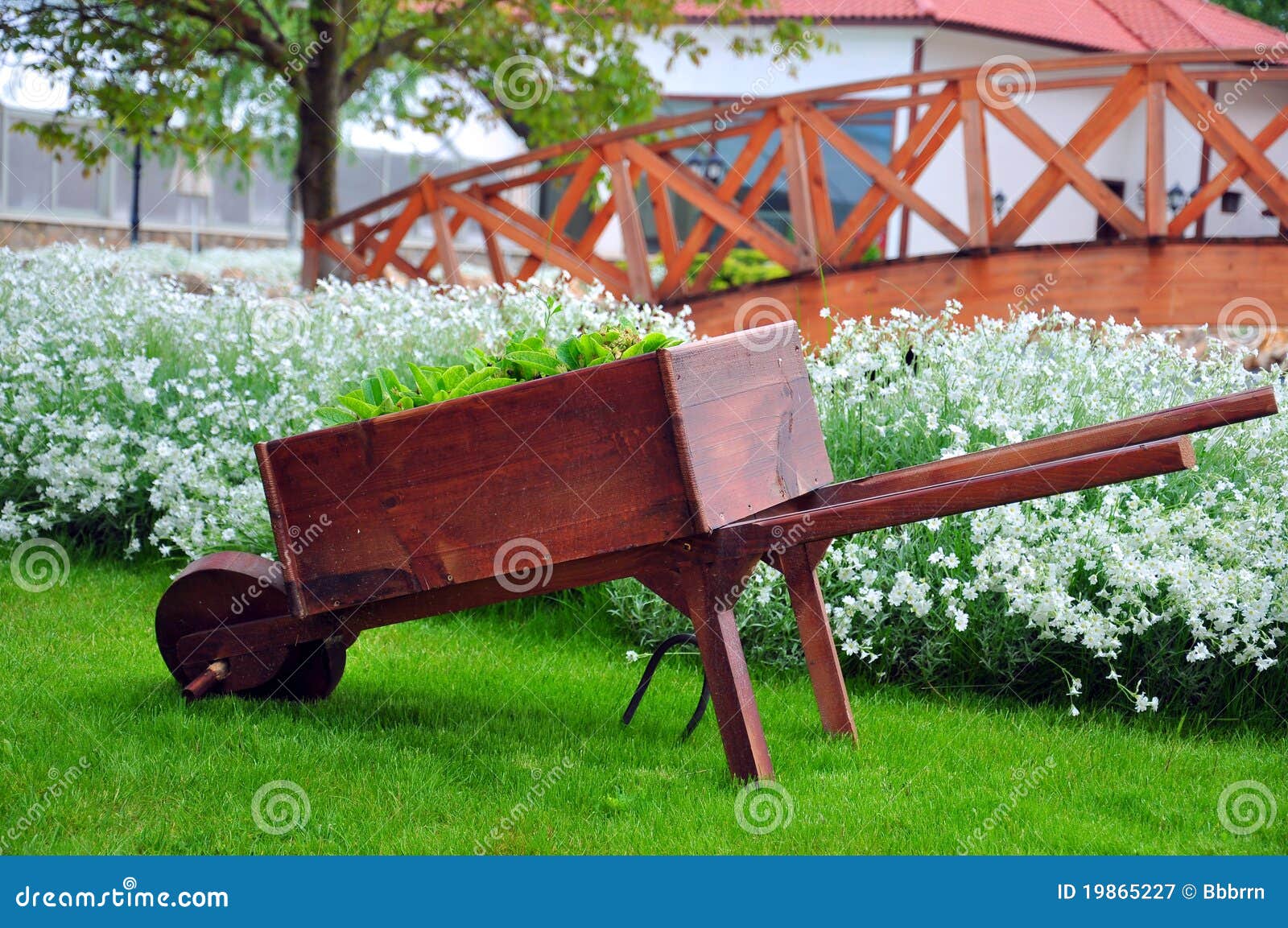 Wooden barrow stock image. Image of flower, carry, decor - 19865227