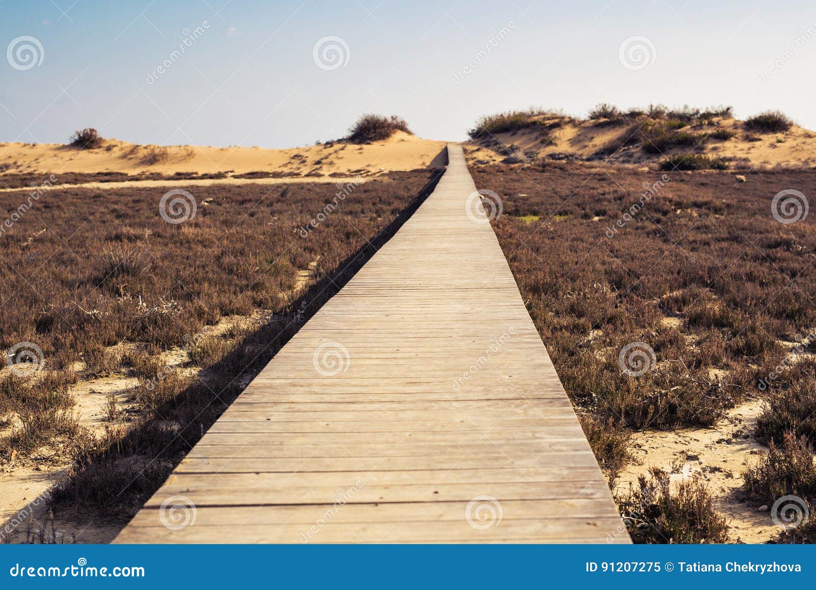 Wooden Beach Boardwalk Path Stock Image - Image of beach, coastline ...
