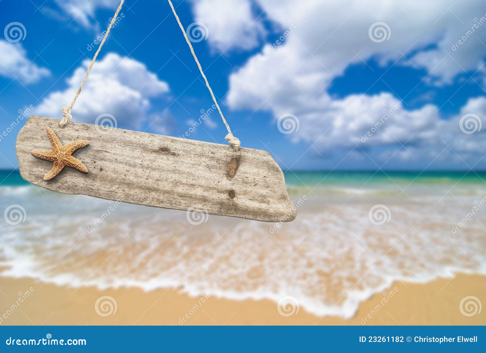 Beach Sign And Palms In Sunny California, USA. Palm Trees And Seaside ...