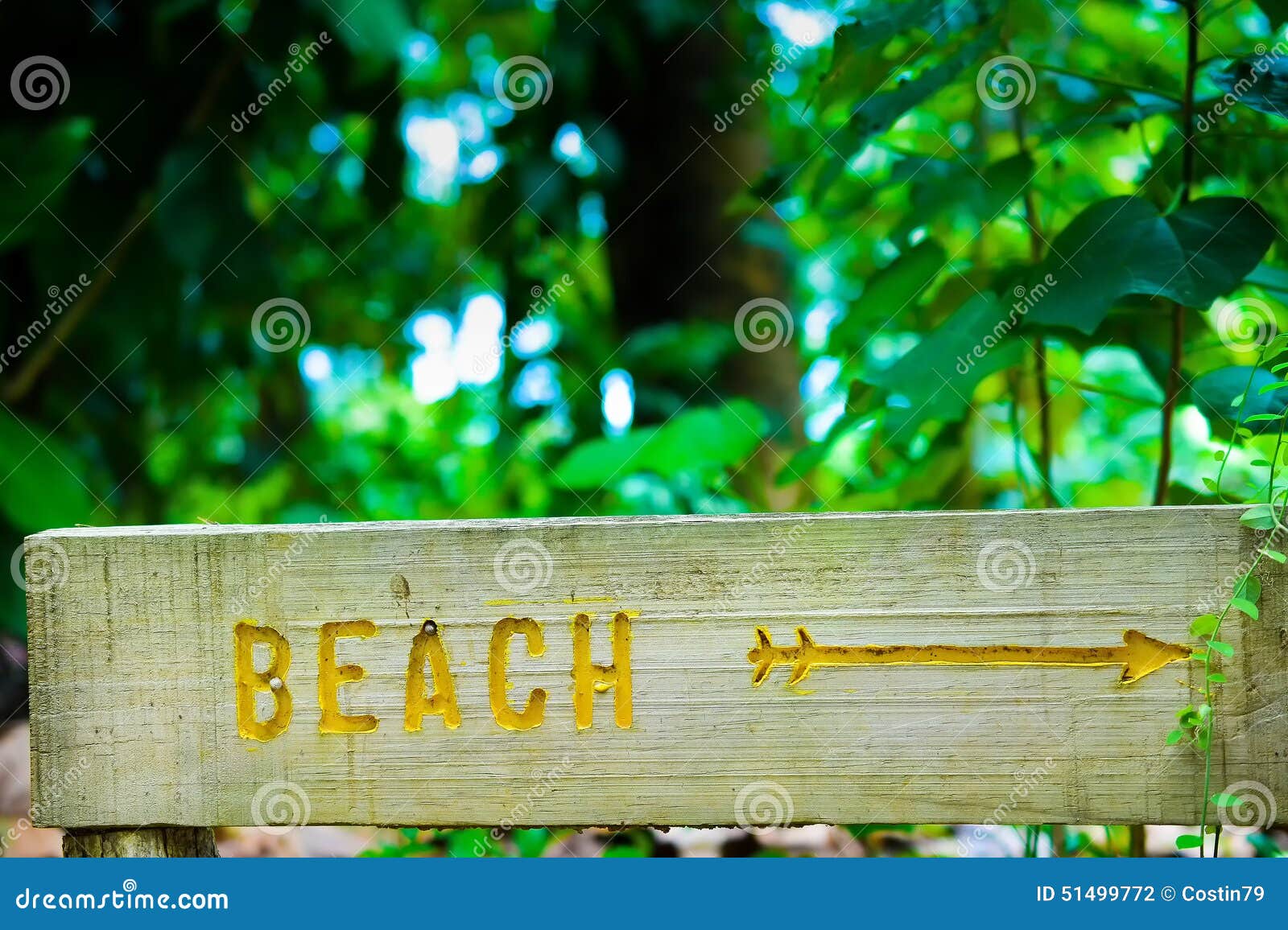 Wooden beach sign stock photo. Image of nature, sign - 51499772