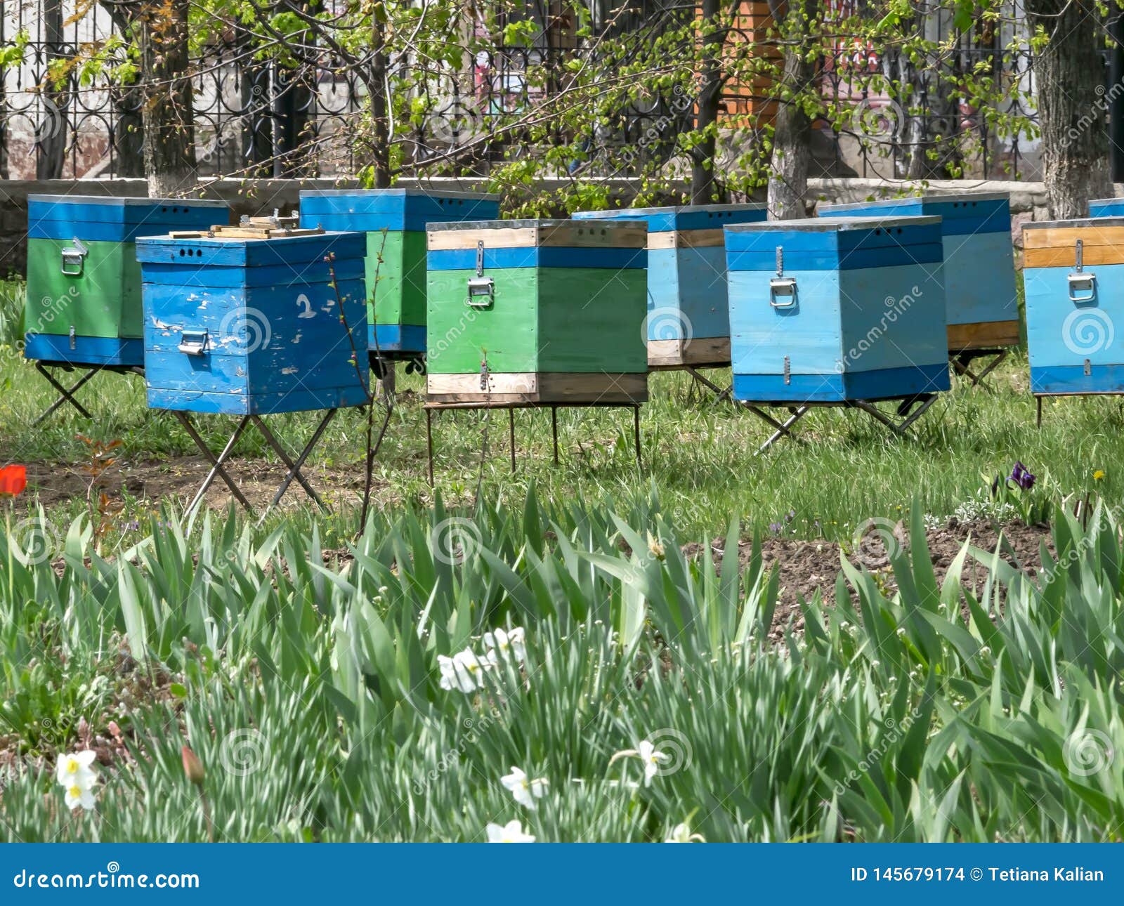 The Wooden Bee Hives in Spring Garden. Vertical Stackable Frame Hives ...