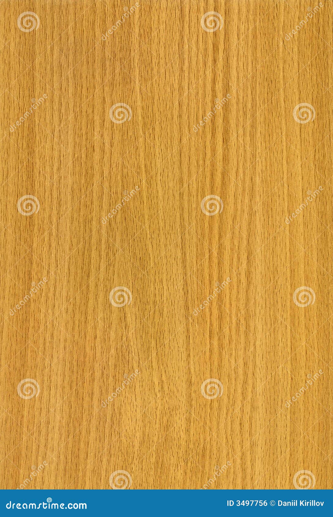 Wooden Beech texture stock photo. Image of abstract, background - 3497756