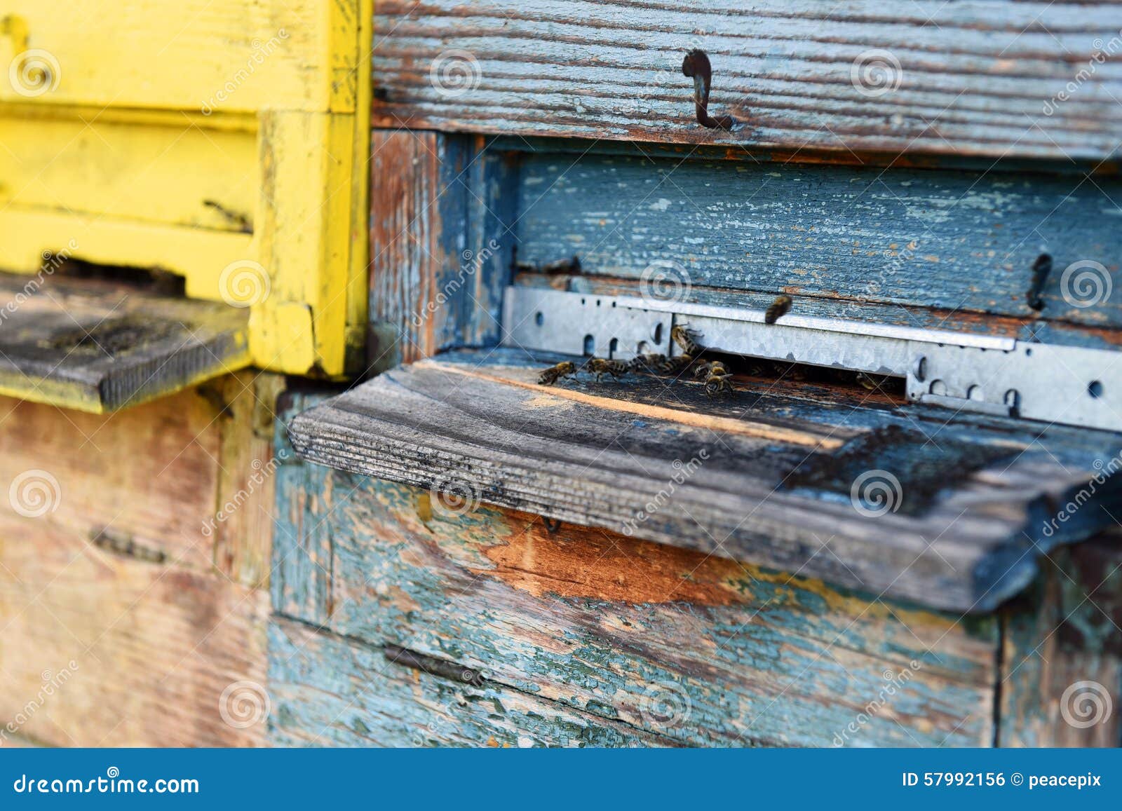 Wooden beehive closeup. stock photo. Image of blue, beekeeping - 57992156