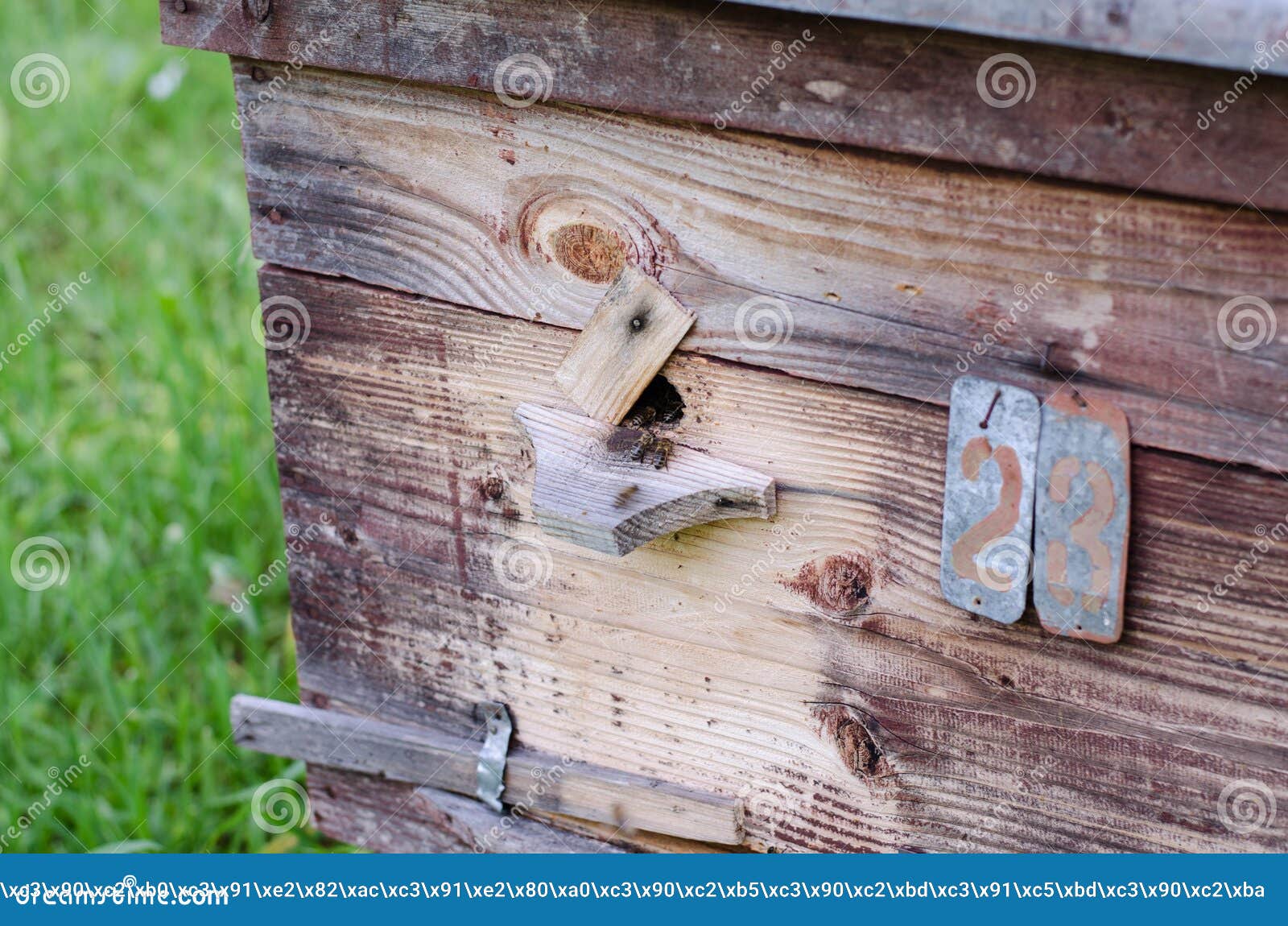 Wooden Beehive. House for the Bees. Apiary. Stock Photo - Image of ...