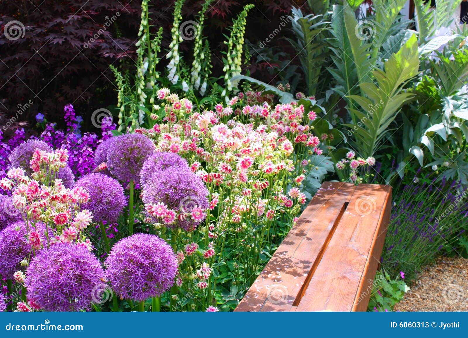 448 Violet Bench Wooden Nature Stock Photos - Free & Royalty-Free Stock ...