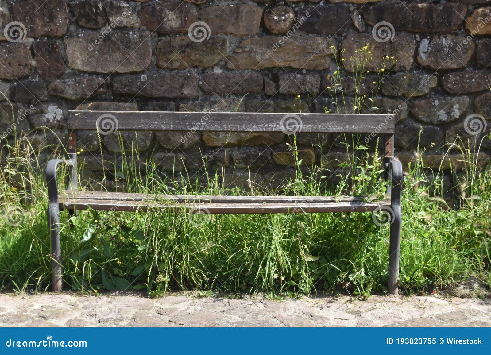 Wooden Bench Against a Wall Surrounded by Green Grass Stock Image ...