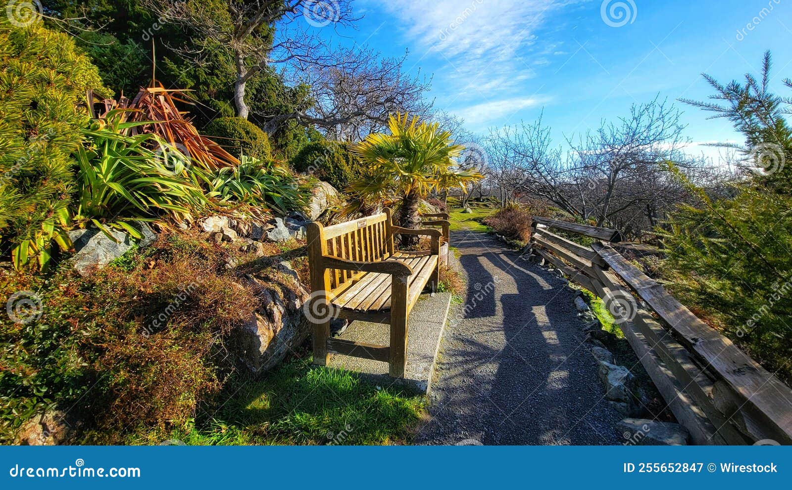 Wooden Bench Along a Path in the Park Stock Image - Image of path ...