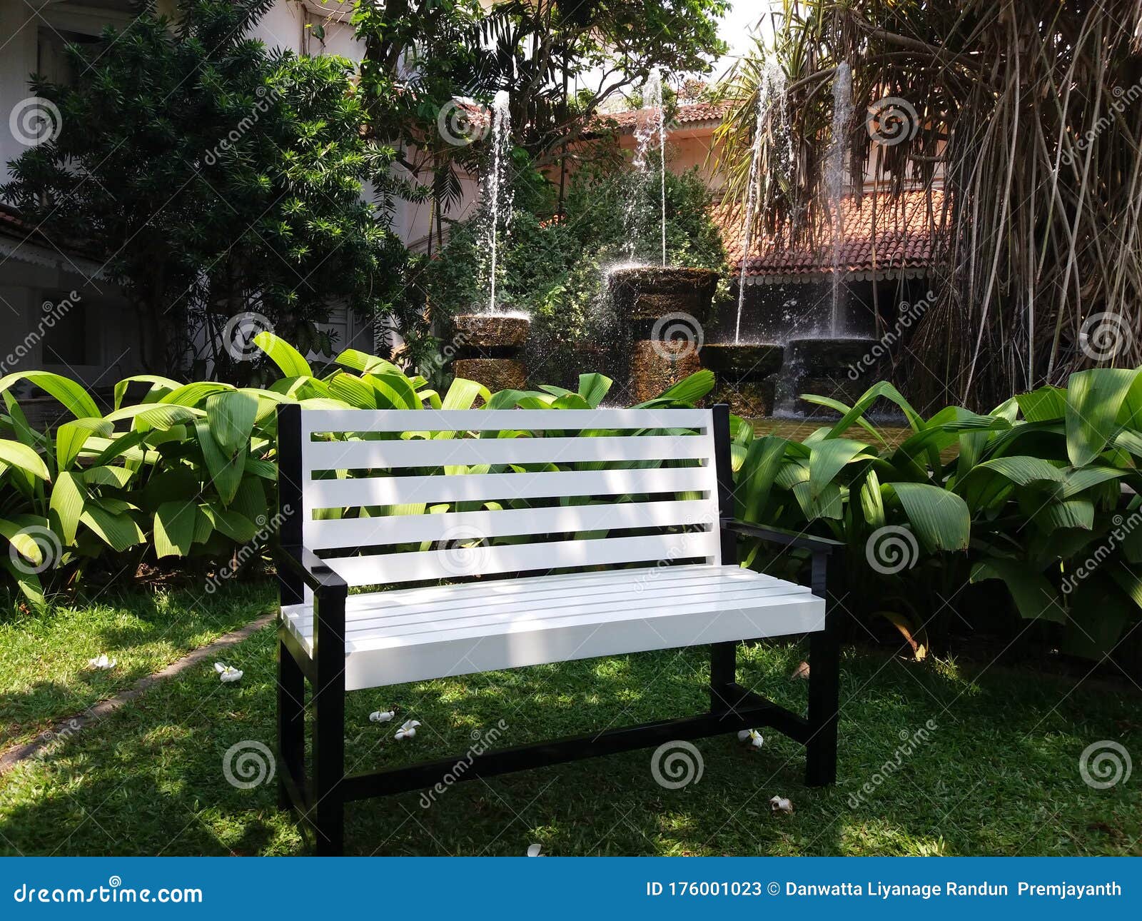 Wooden Bench Around Green for Total Relaxation Stock Image - Image of ...