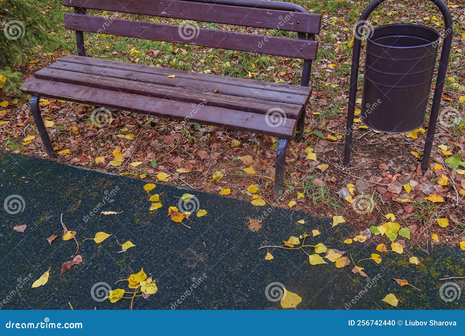 Wooden Bench in the Autumn City Park Stock Photo - Image of seasonal ...