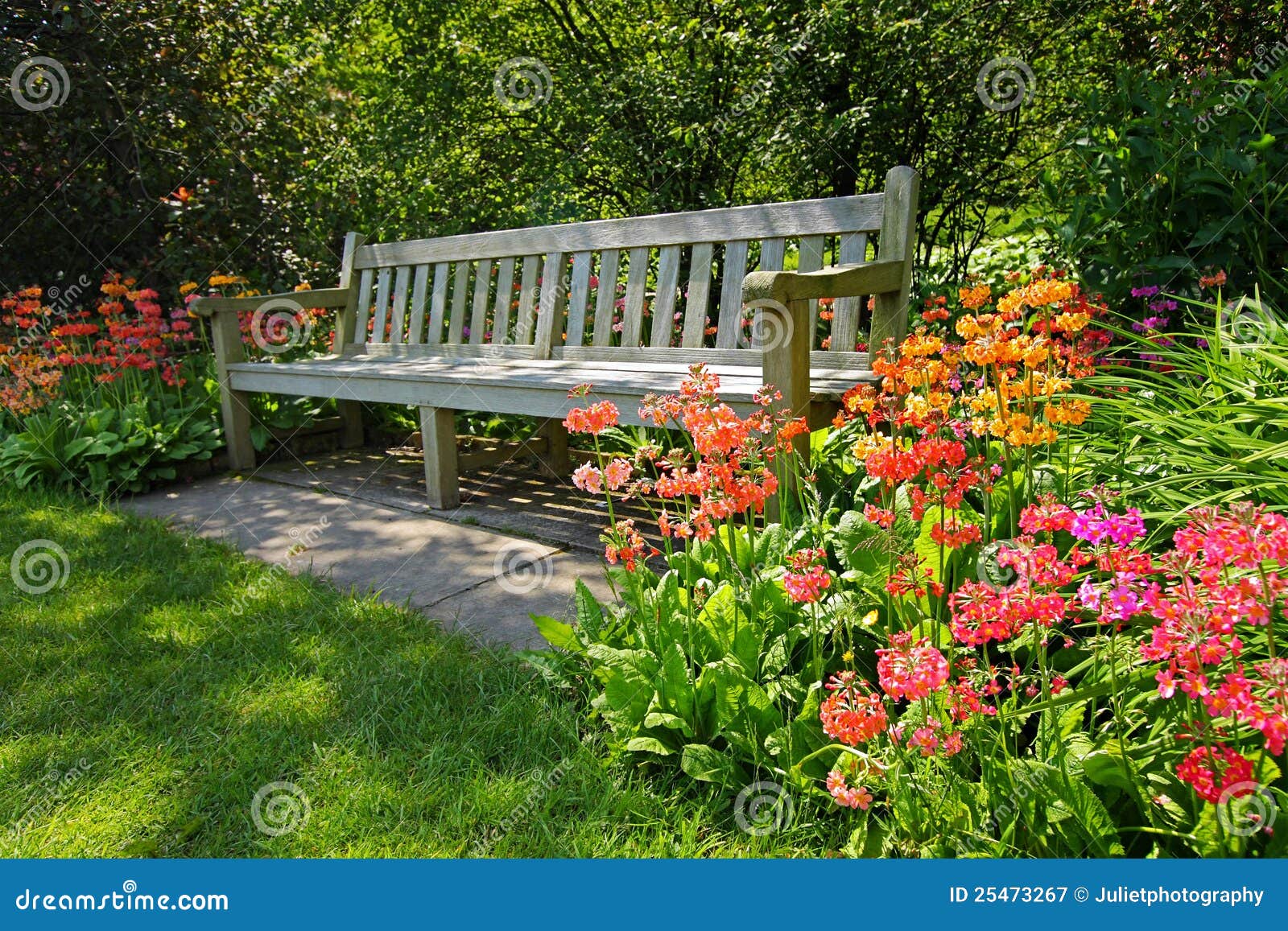 Wooden Bench and Bright Blooming Flowers Stock Image - Image of bench ...