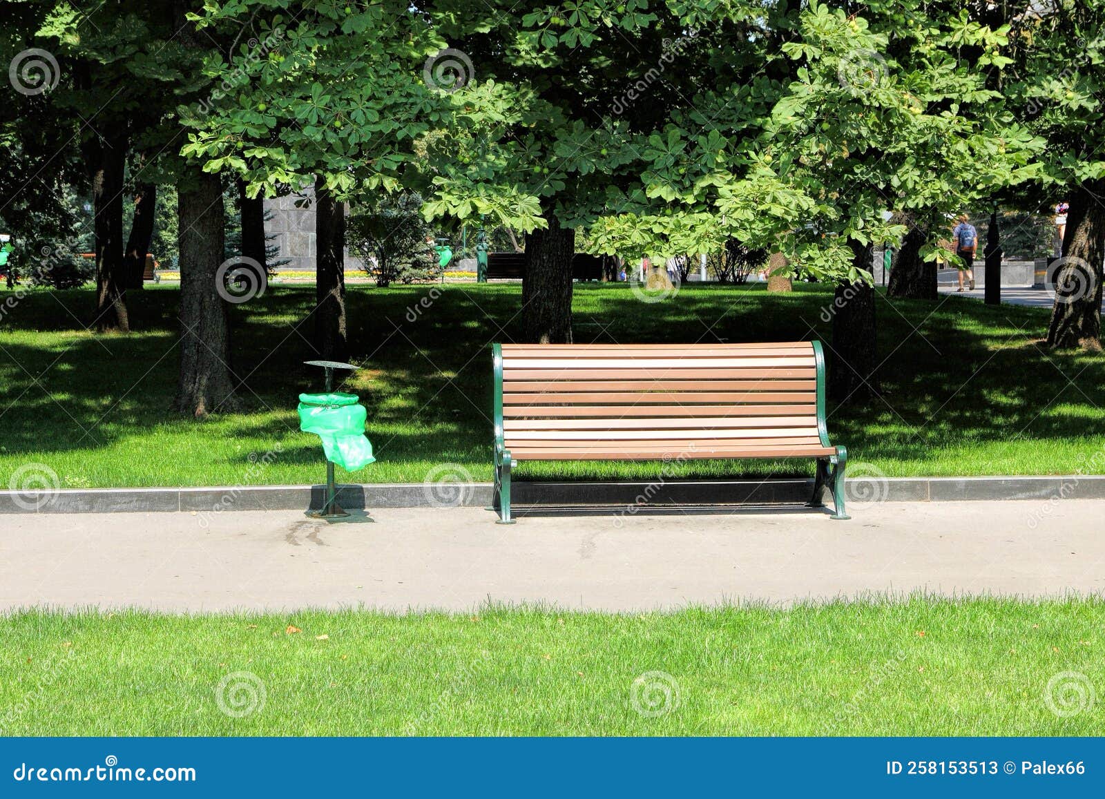 Wooden Bench on the Chestnut Tree Park Alley Stock Image - Image of ...