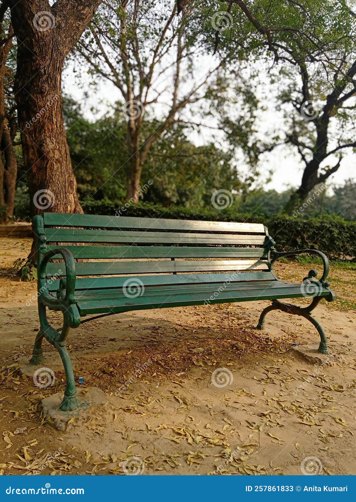 Wooden Bench in the City Park Stock Image - Image of wooden, iron ...