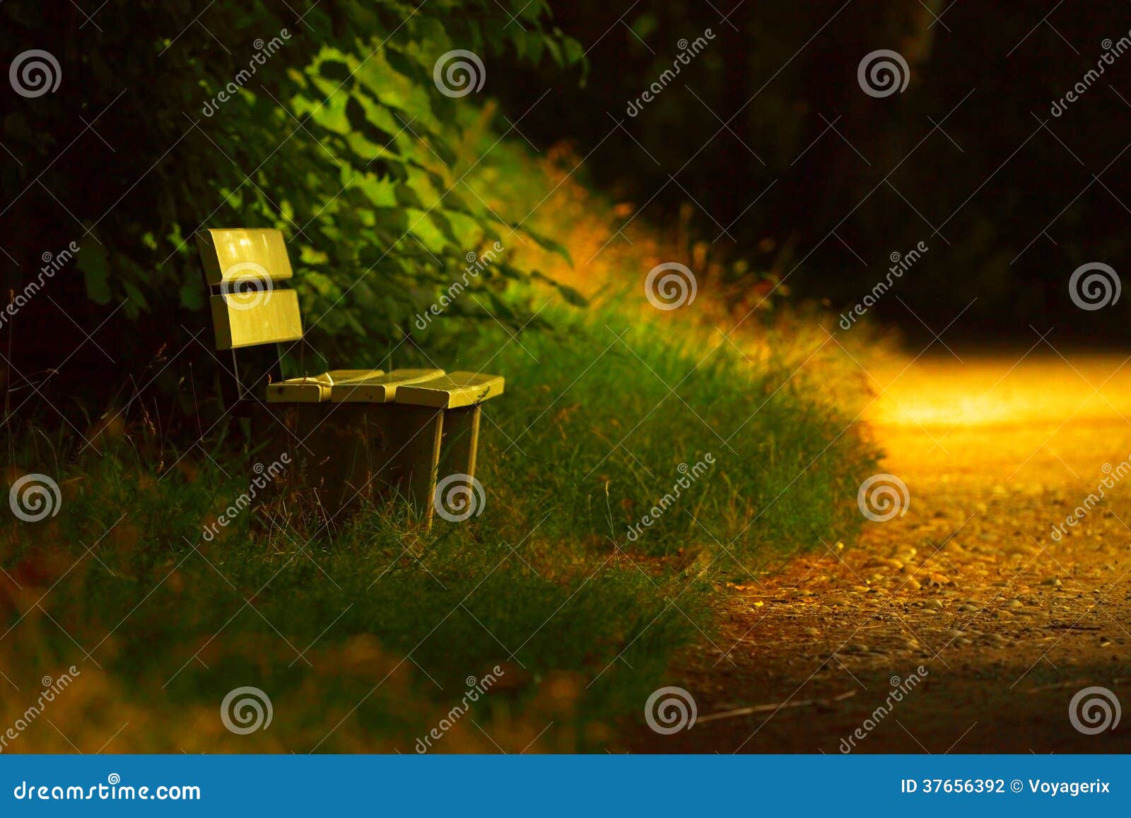 Wooden Bench in Evening Park Stock Photo - Image of outdoor, rural ...