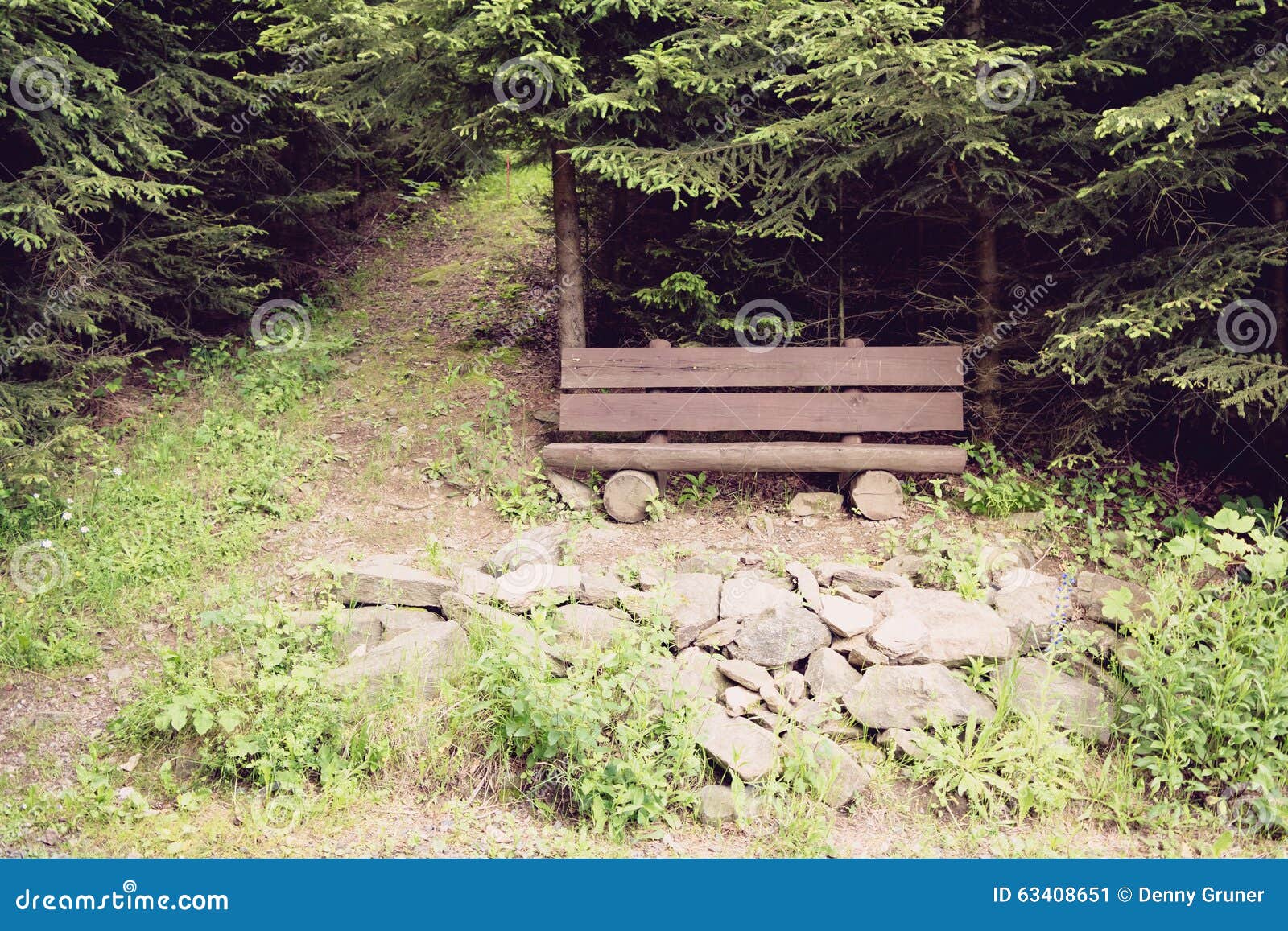 Wooden bench in the forest stock image. Image of landscape - 63408651