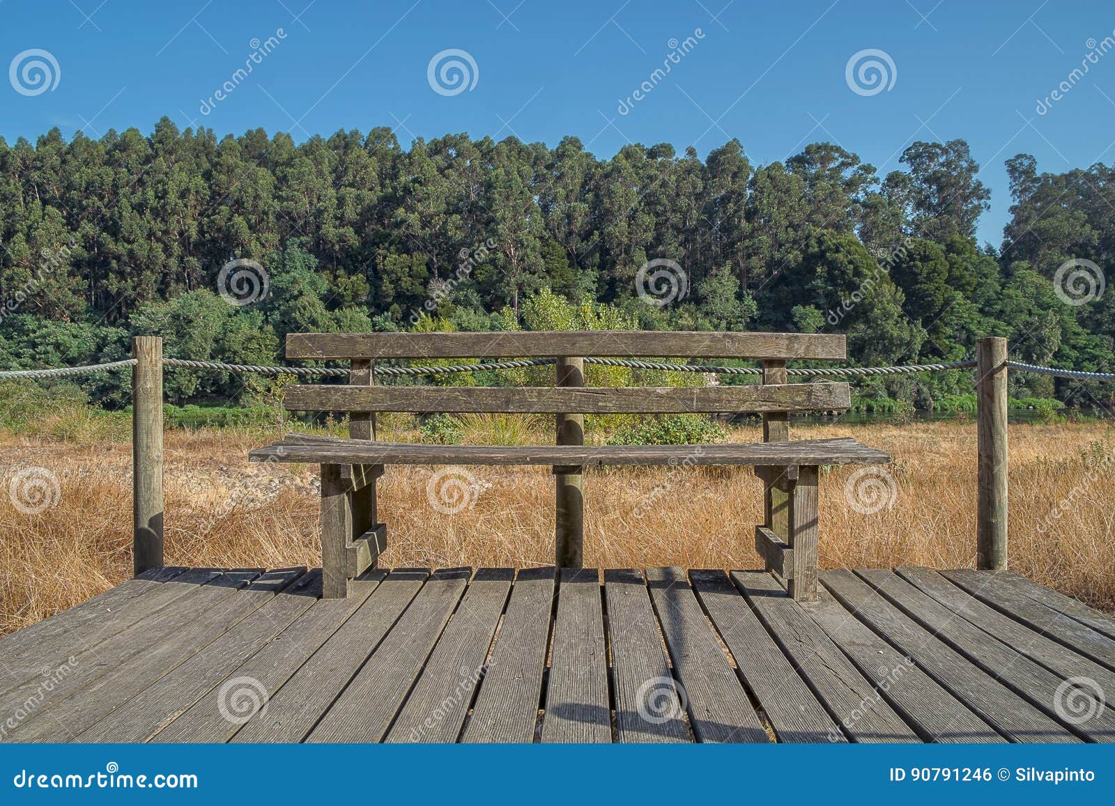 Wooden bench in the forest stock photo. Image of horizontal - 90791246