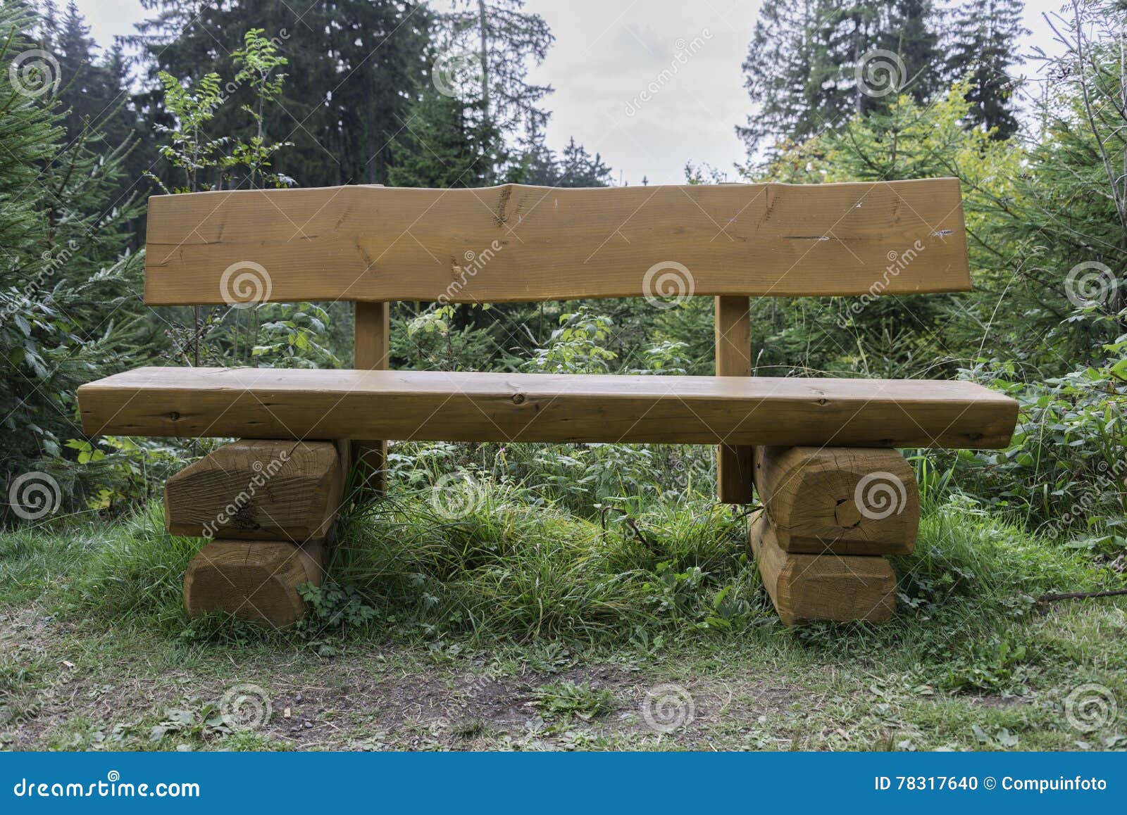 Wooden bench in forest stock photo. Image of resting - 78317640