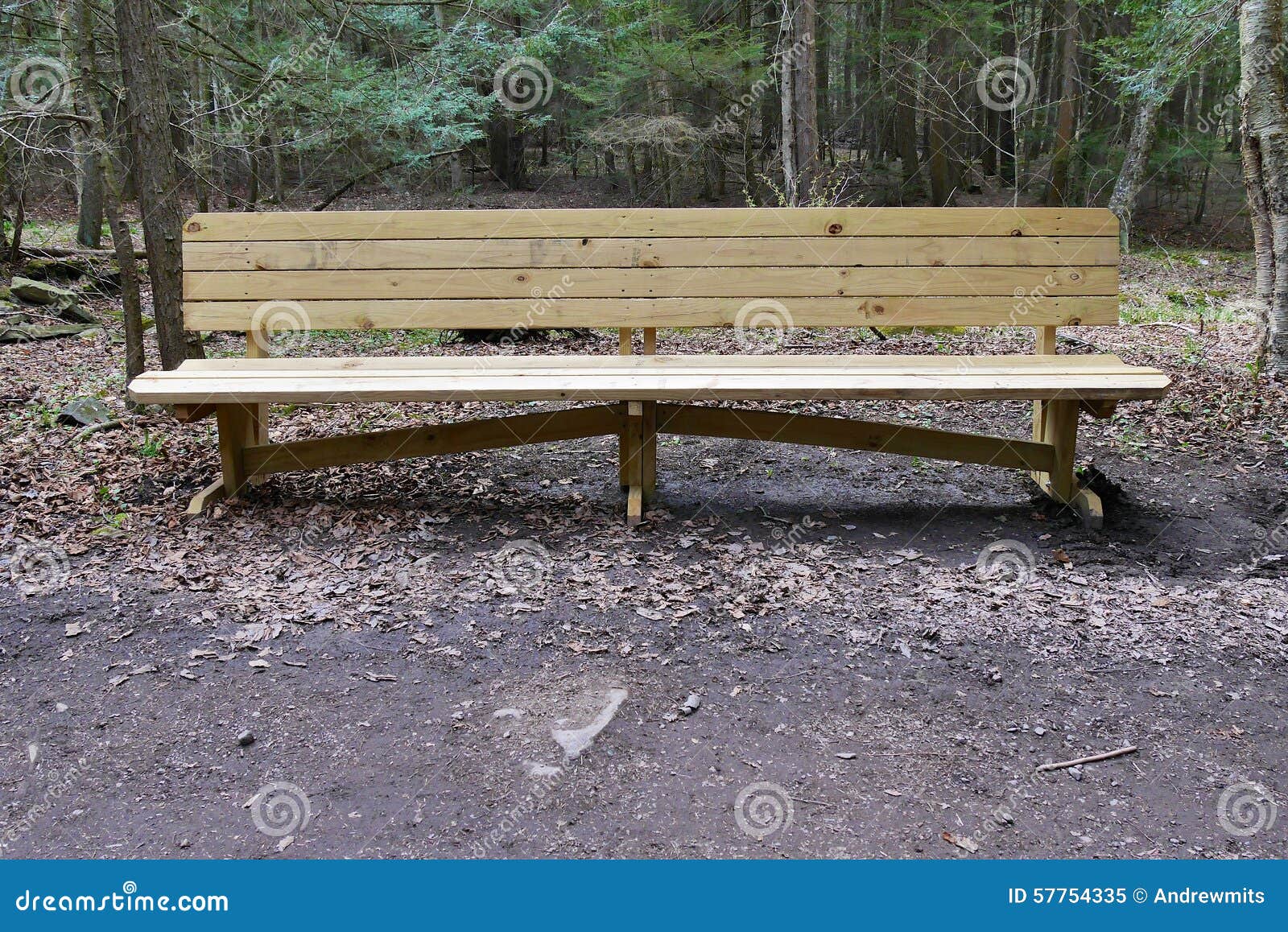 Wooden Bench in Forest stock image. Image of wood, trees - 57754335