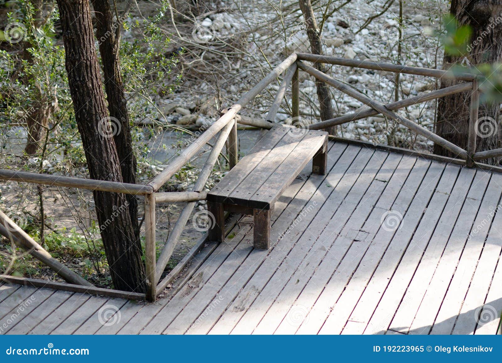 Wooden Bench in the Forest Next To a Stream Stock Image - Image of ...