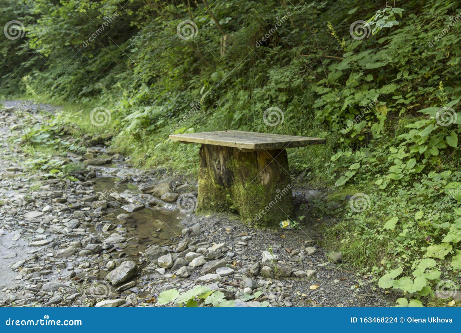 Wooden Bench in the Forest. a Small Stream Near Stock Photo - Image of ...