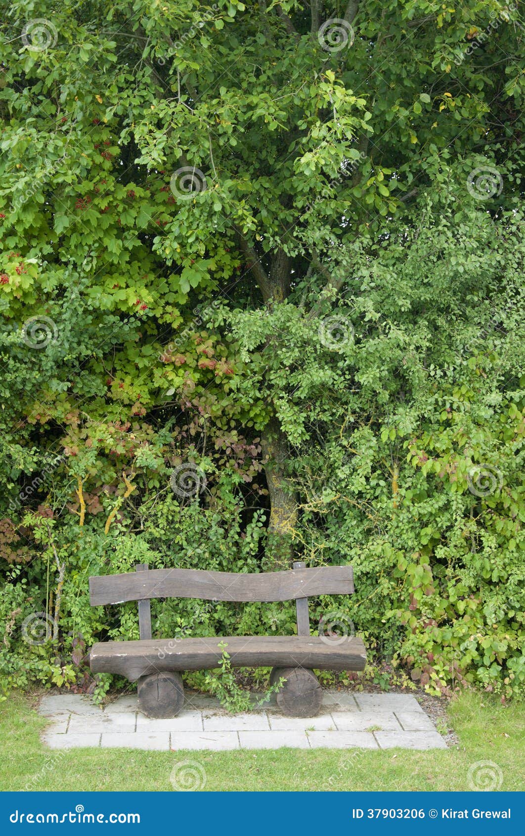 A Wooden Bench at a Golf Course in Bavaria, Germany Stock Photo - Image ...