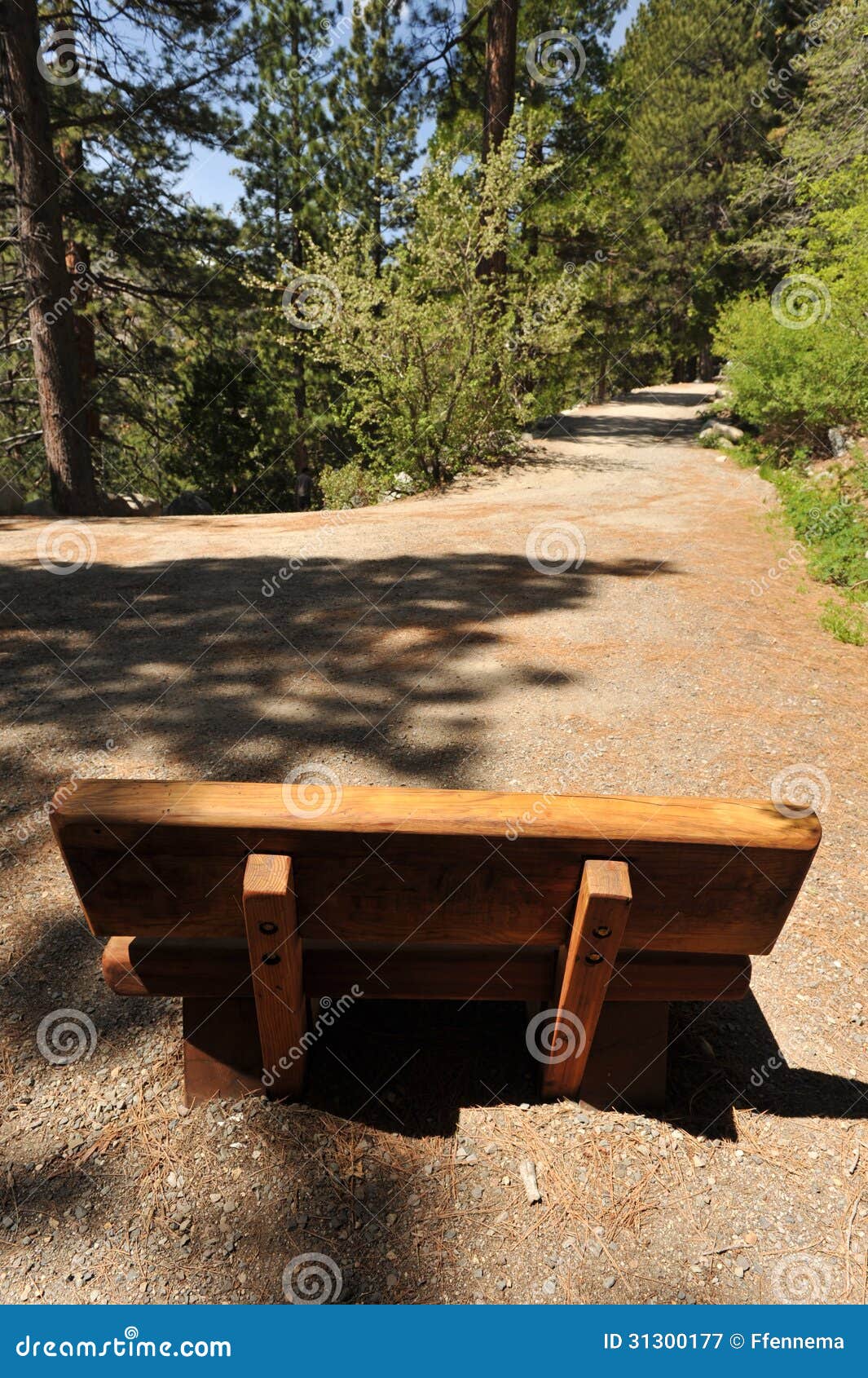 Wooden Bench on a Hiking Path in Forest Stock Image - Image of color ...