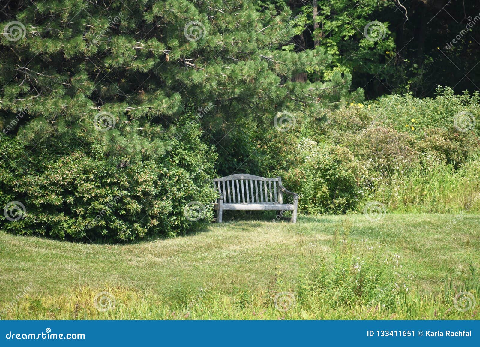 Wooden Bench in Landscape stock image. Image of wooden - 133411651