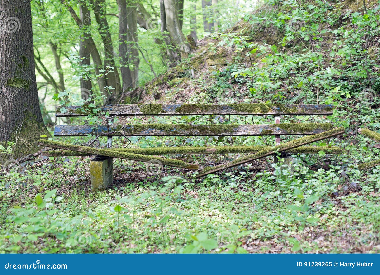 Wooden bench with moss stock image. Image of wood, moss - 91239265