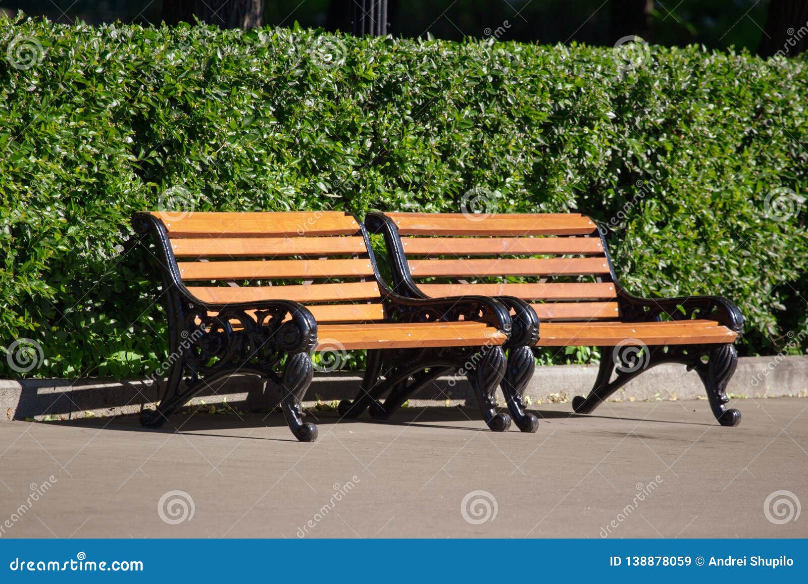 A Wooden Bench in the Nature Stock Image - Image of garden, grass ...