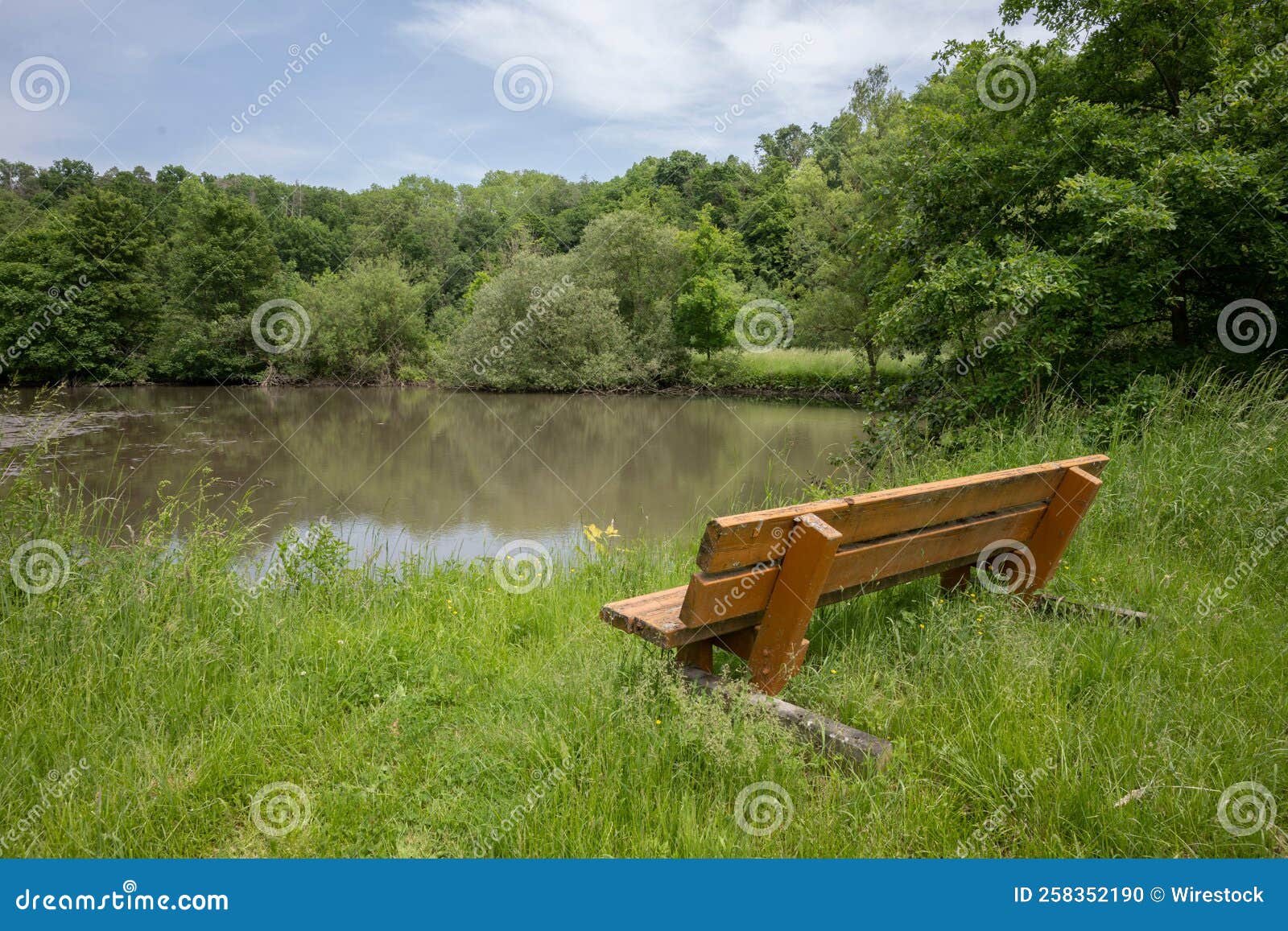 Wooden bench near a lake stock photo. Image of park - 258352190