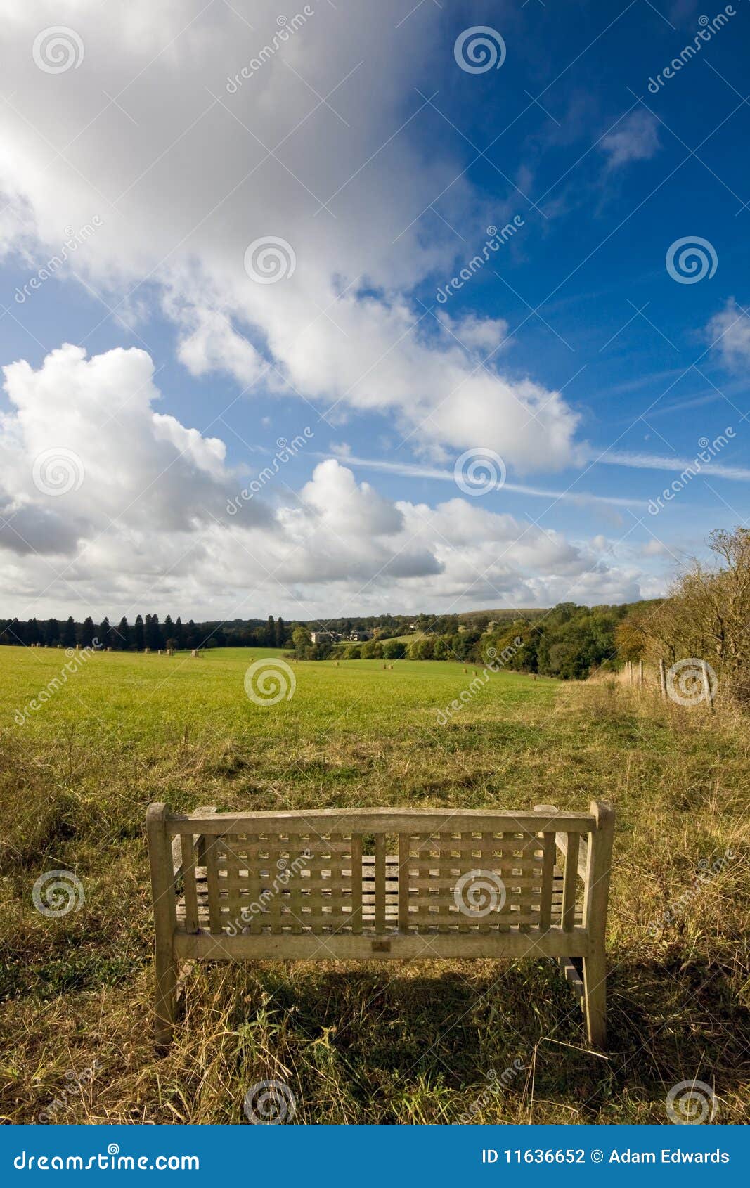 Wooden Bench Overlooking an English Landscape Stock Photo - Image of ...