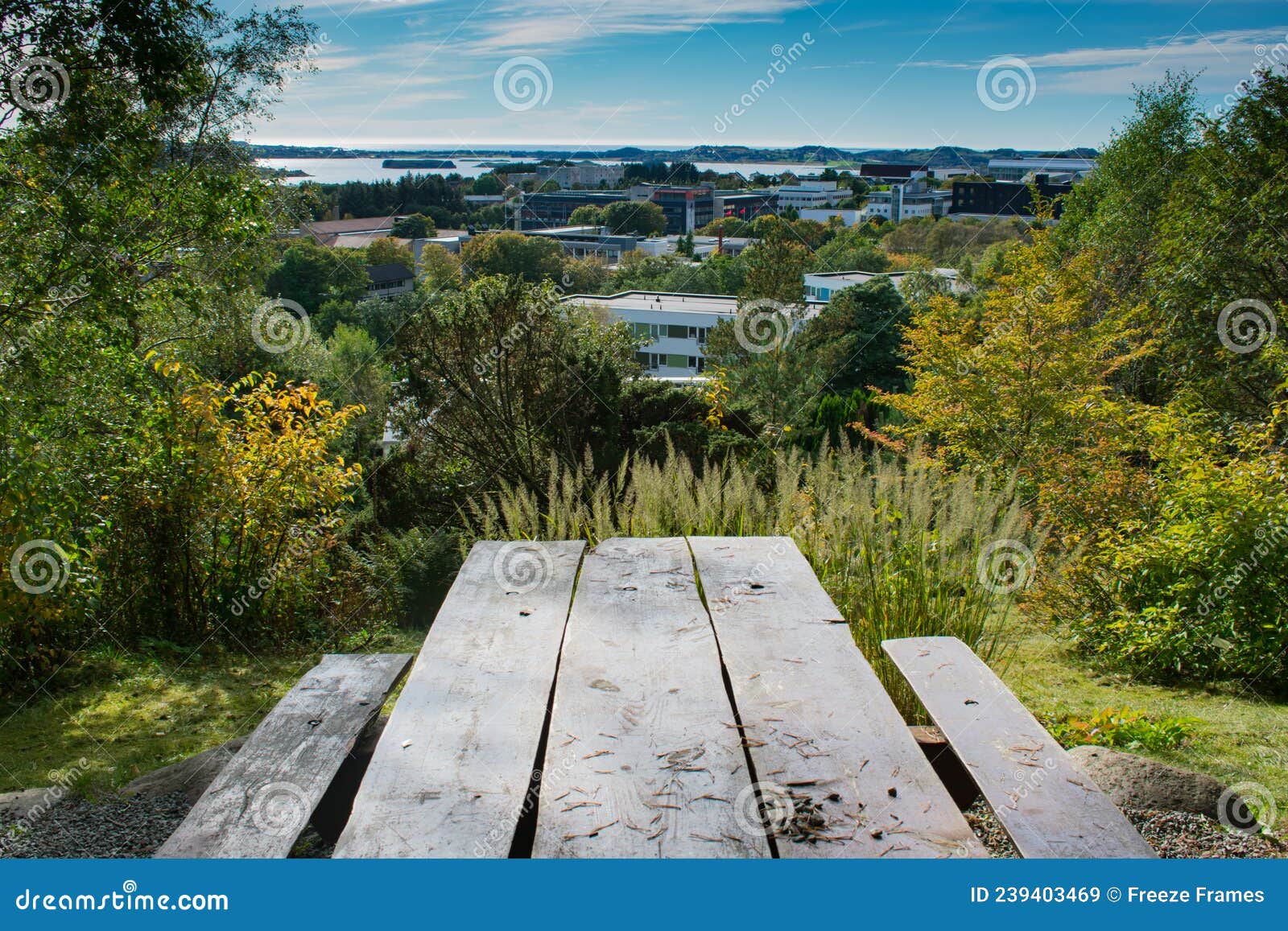 Wooden Bench Overlooking Stavanger University in Norway during Stock ...