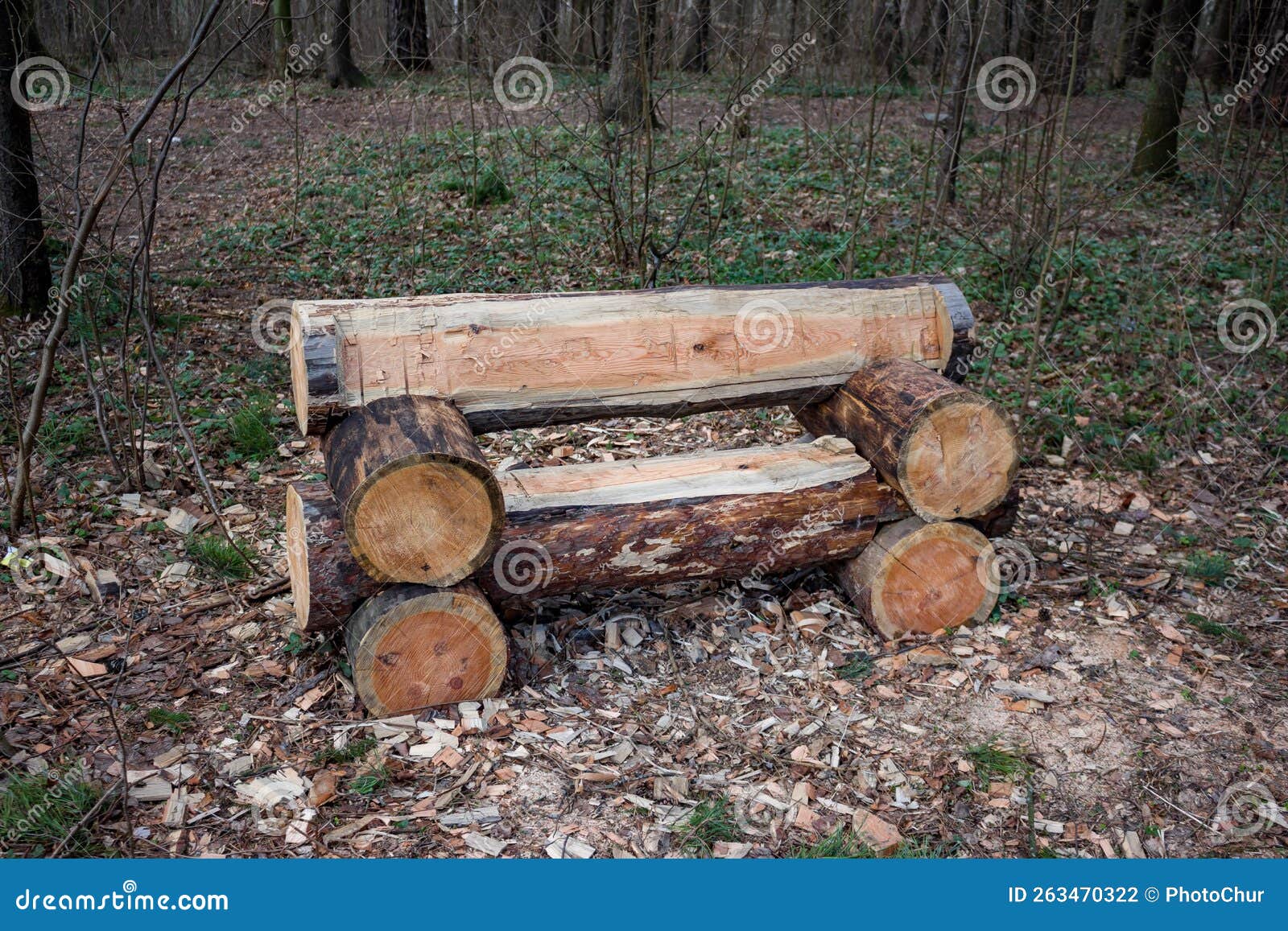 Wooden Bench in the Park Built from the Logs of a Fallen Tree Stock ...