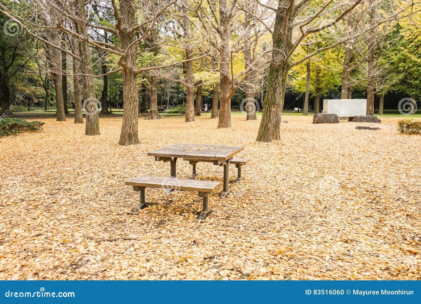 Wooden Bench in the Park with Falling Leaves Stock Photo - Image of ...