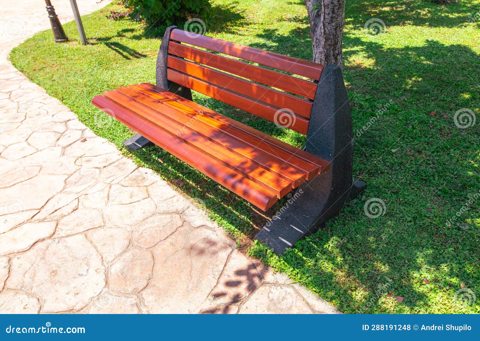 Wooden Bench in the Park in Nature Stock Photo - Image of public ...